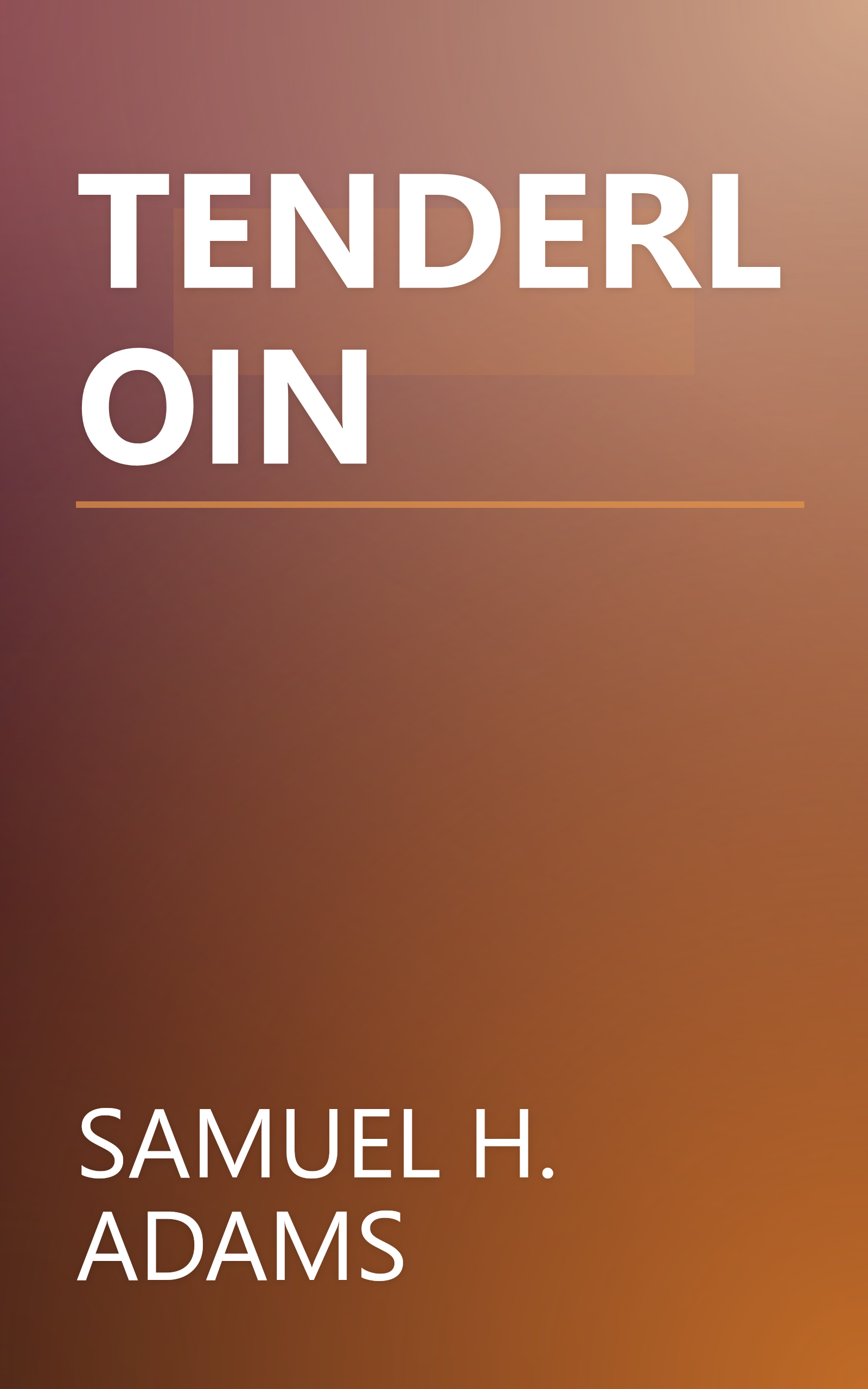 TENDERLOIN book cover