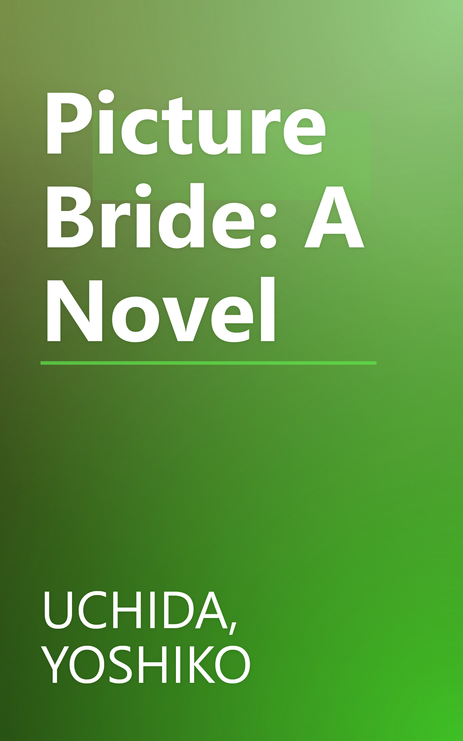 Picture Bride: A Novel book cover