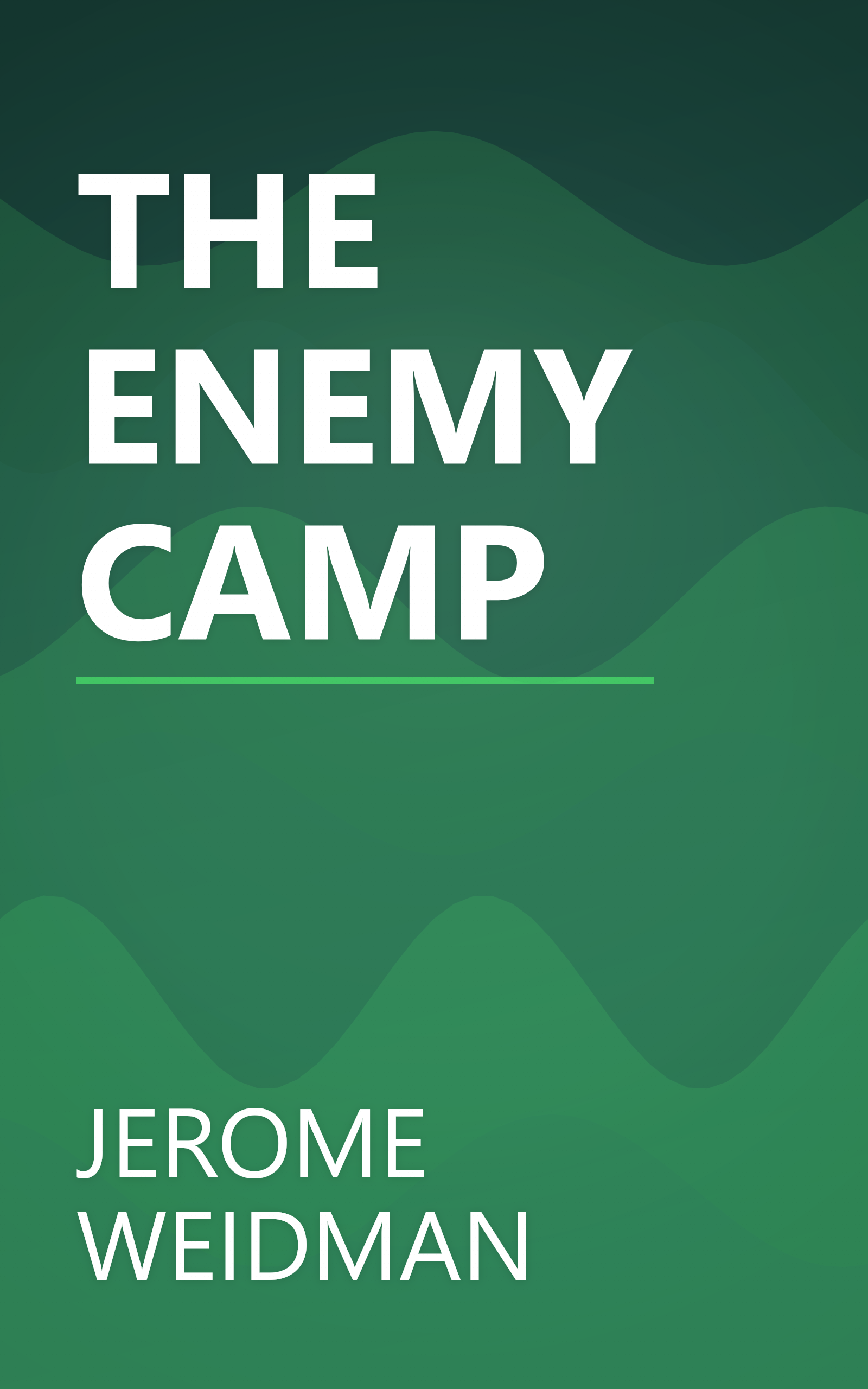 THE ENEMY CAMP book cover