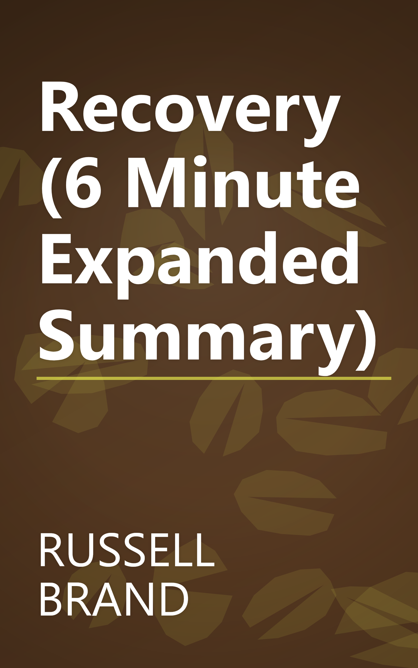 Recovery (6 Minute   Expanded Summary) book cover
