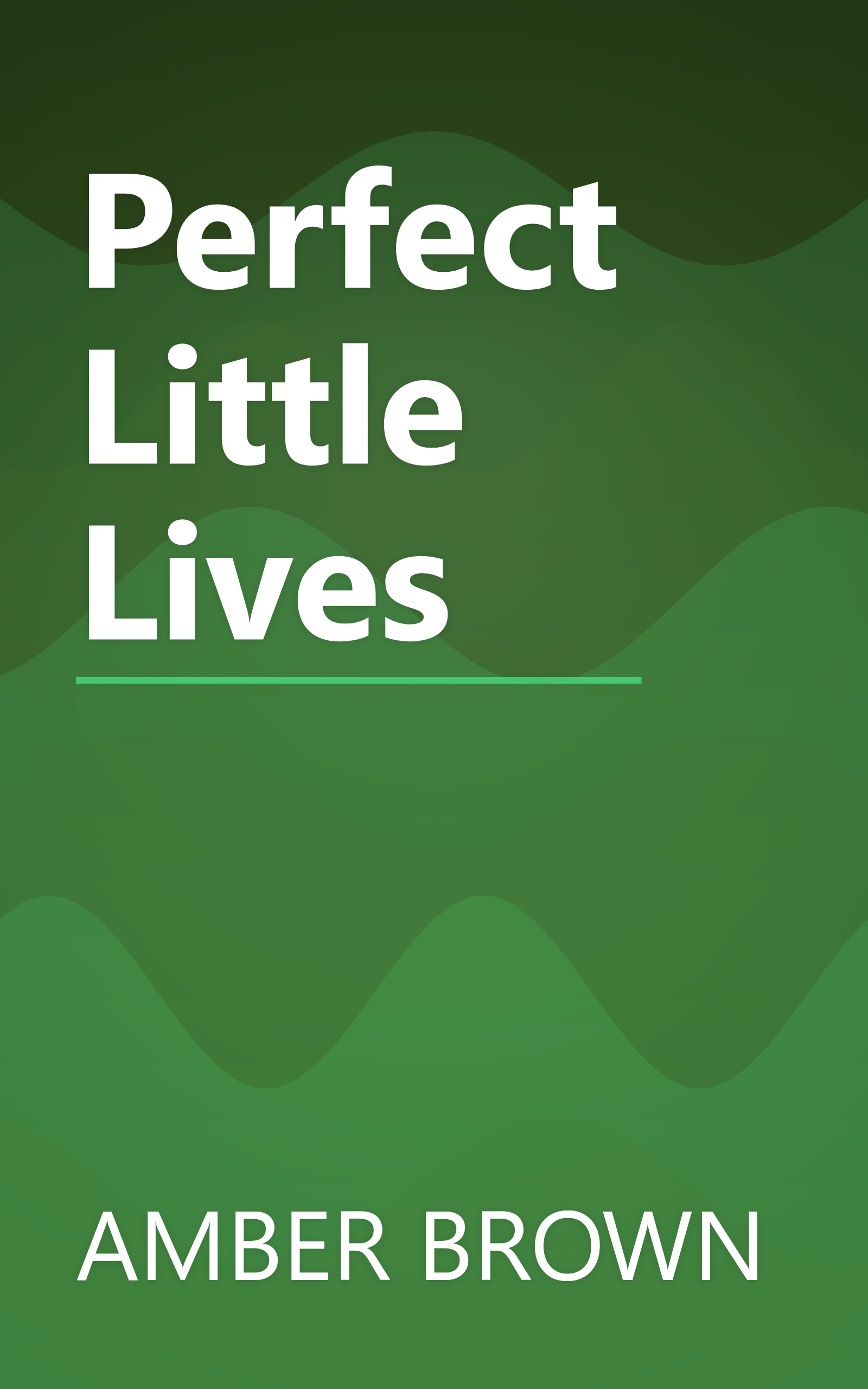 Perfect Little Lives book cover