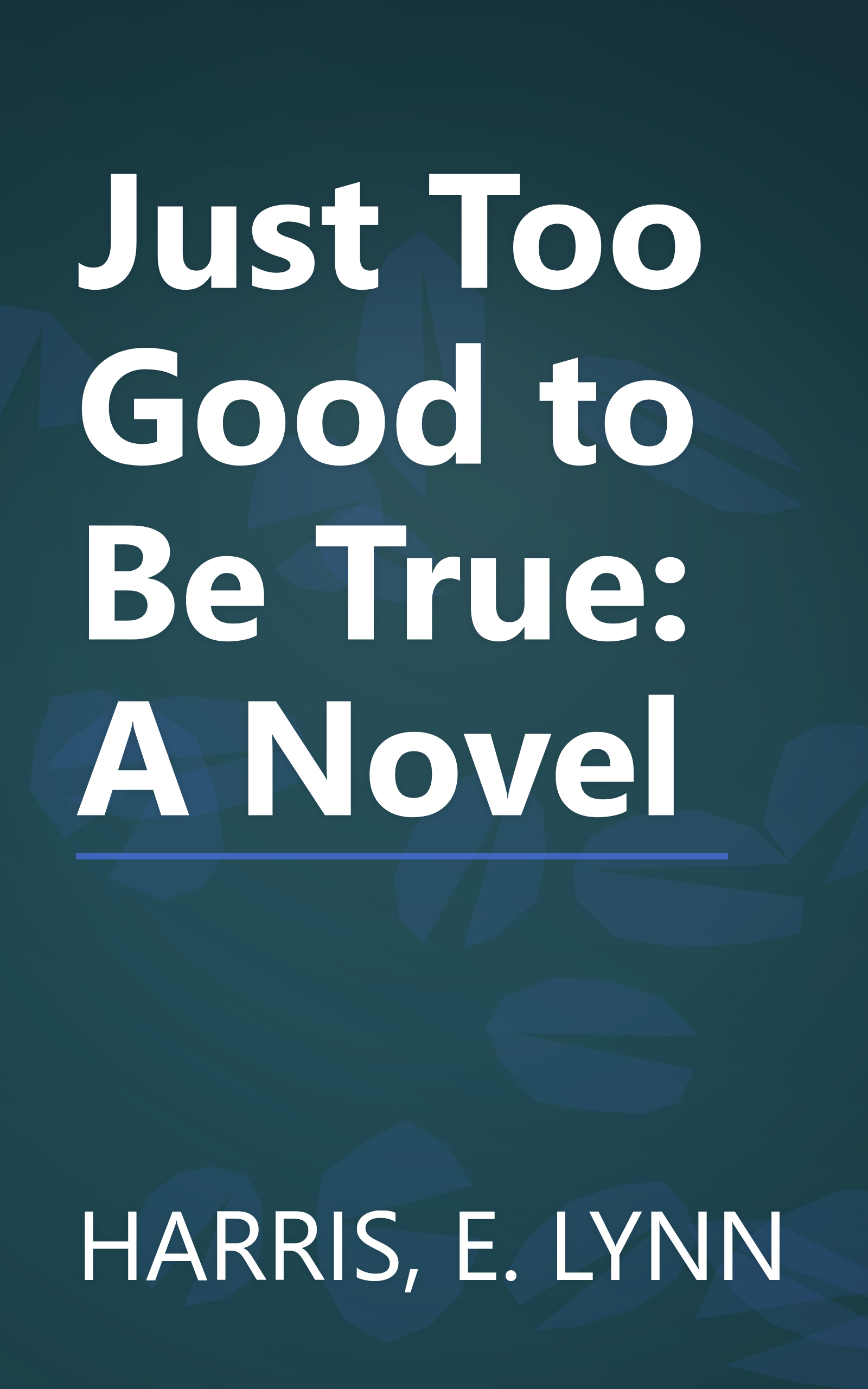 Just Too Good to Be True: A Novel book cover