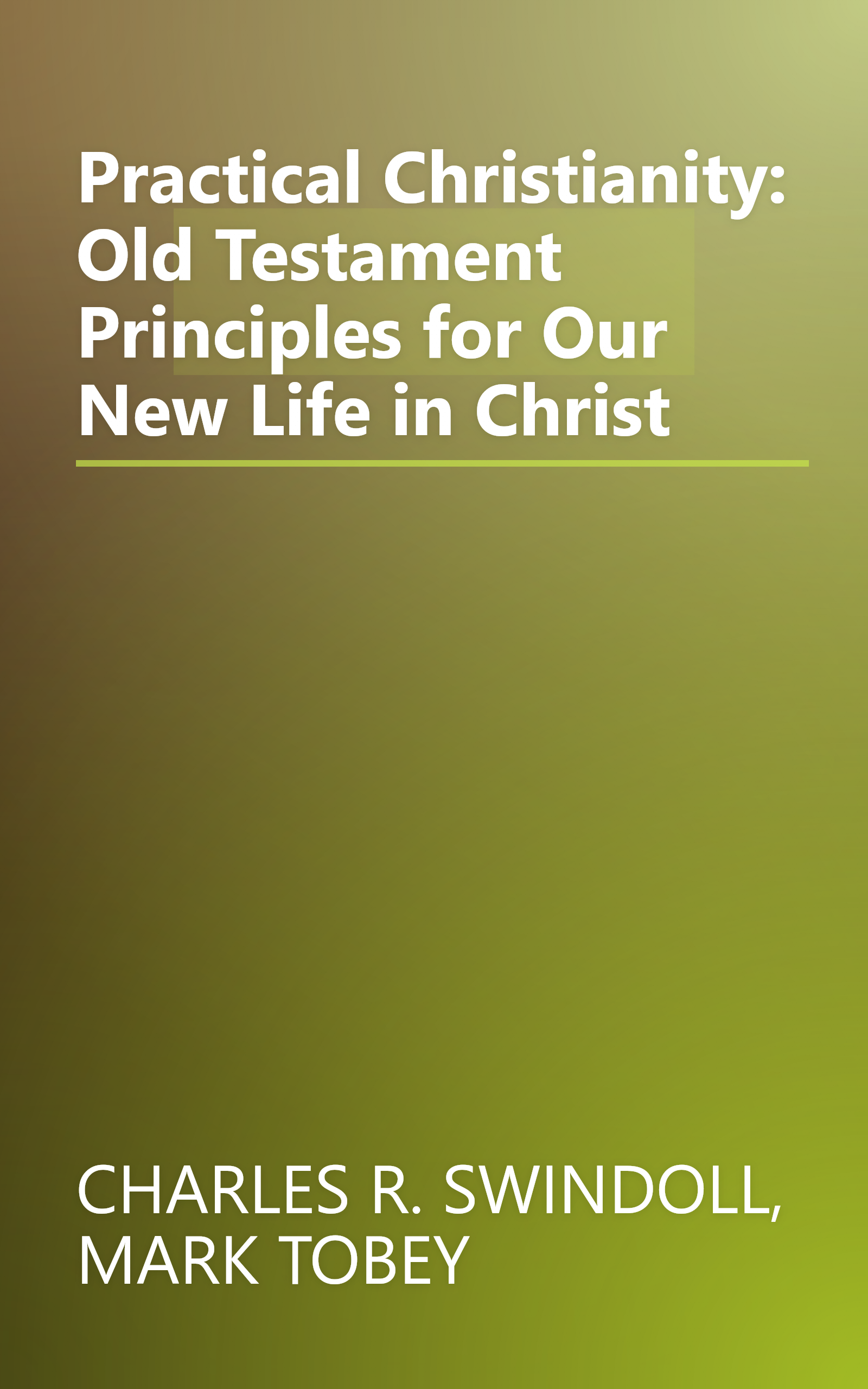 Practical Christianity: Old Testament Principles for Our New Life in Christ book cover