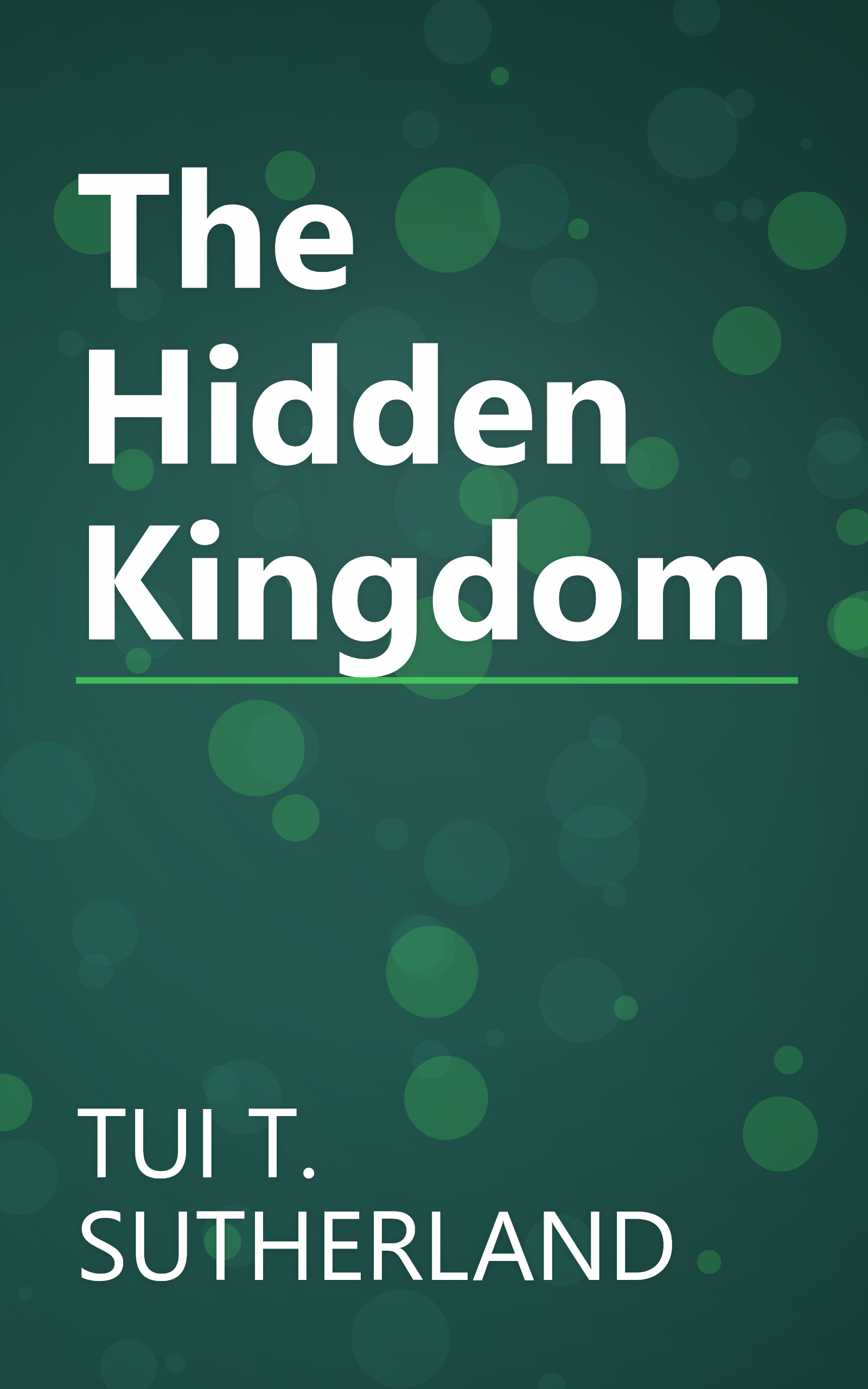 The Hidden Kingdom book cover