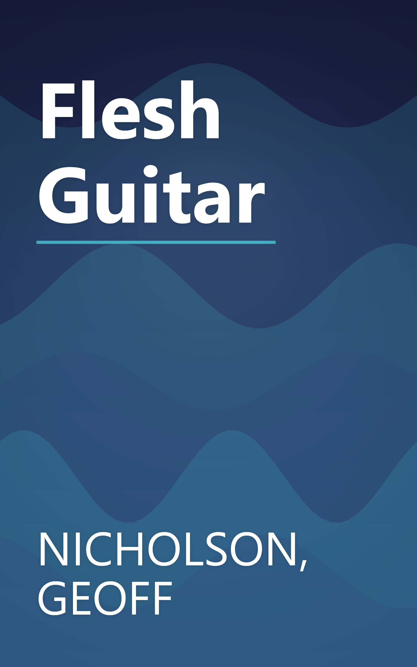 Flesh Guitar book cover