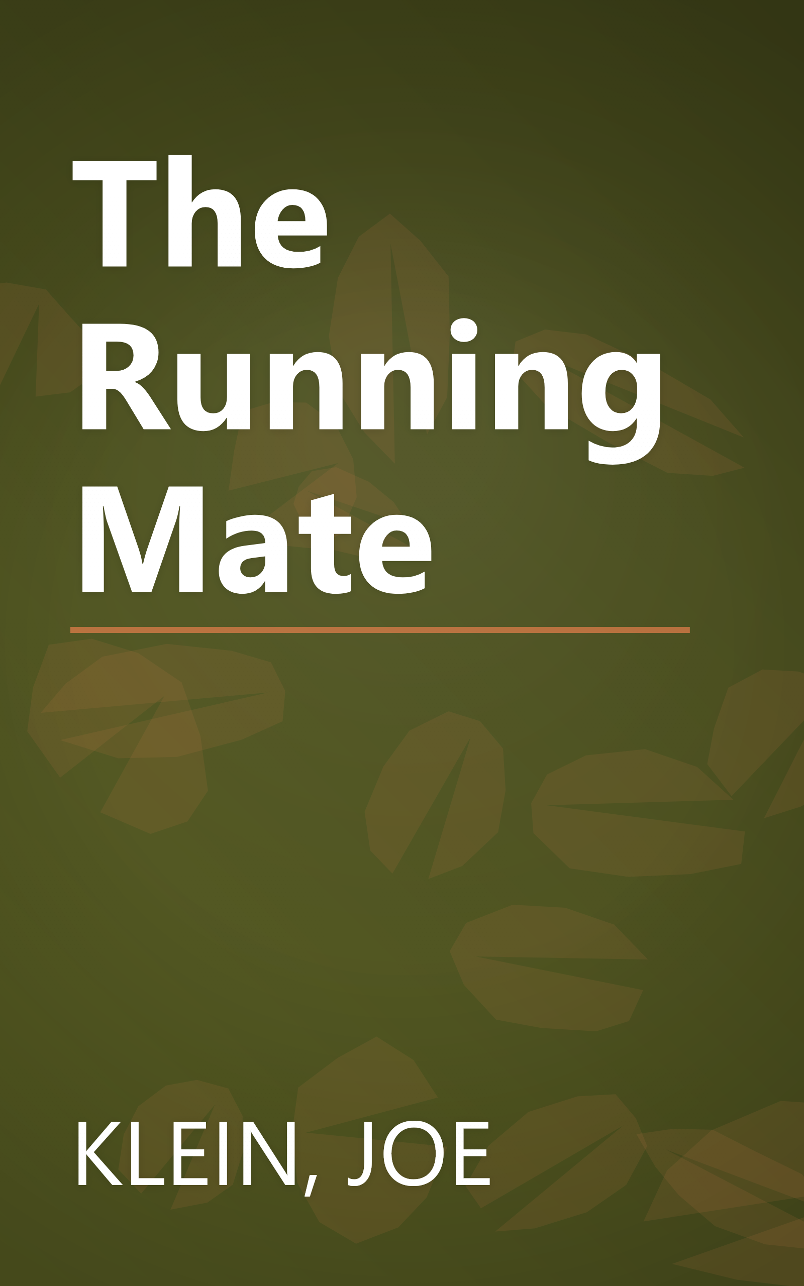 The Running Mate book cover