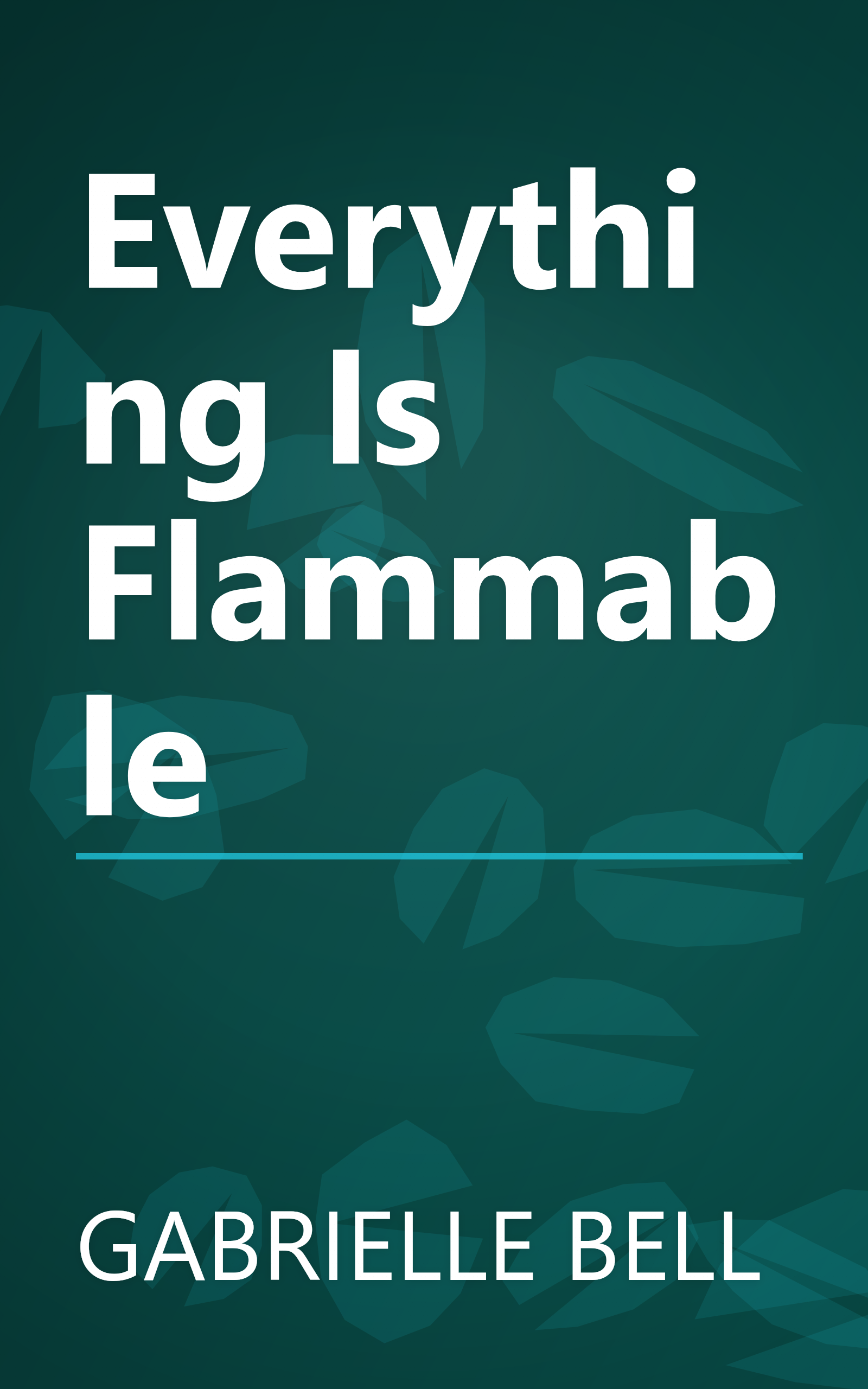 Everything Is Flammable book cover
