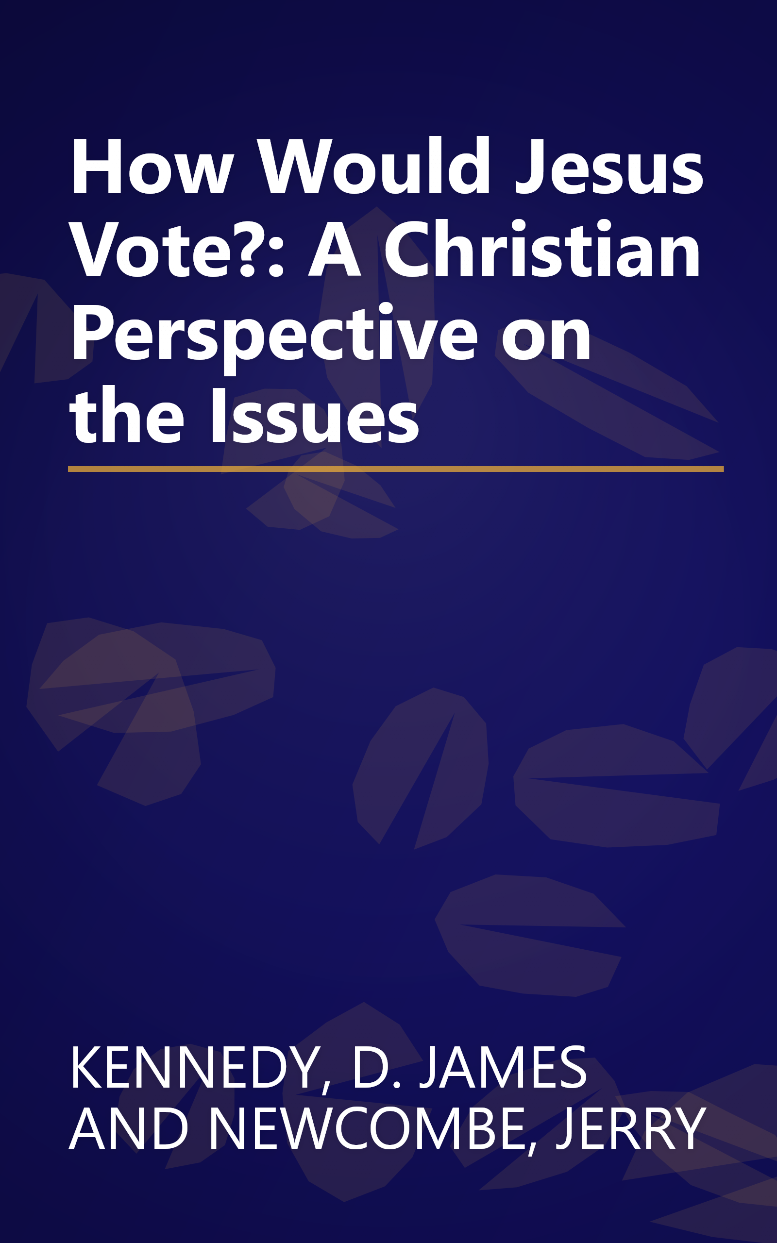 How Would Jesus Vote?: A Christian Perspective on the Issues book cover