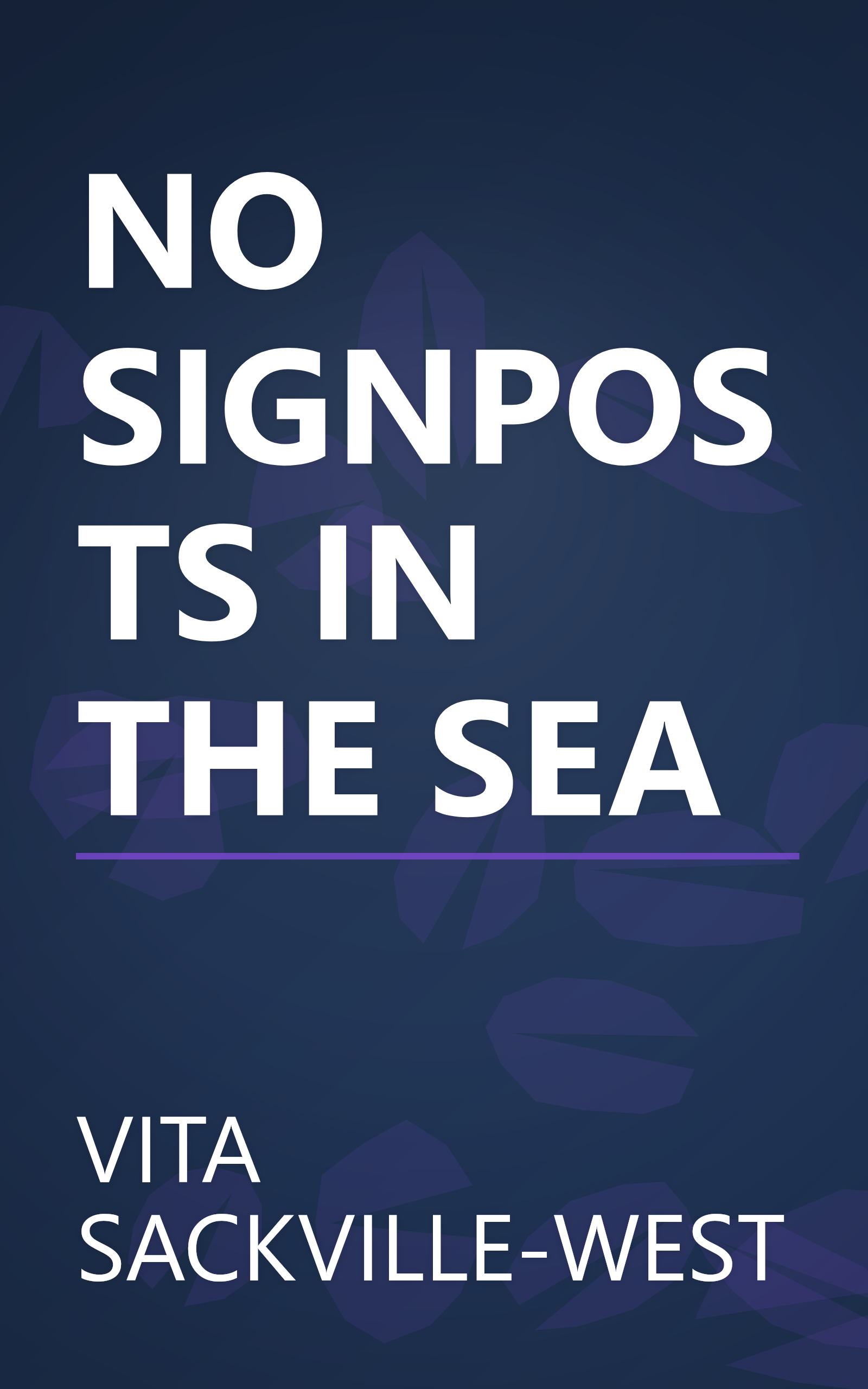 NO SIGNPOSTS IN THE SEA book cover