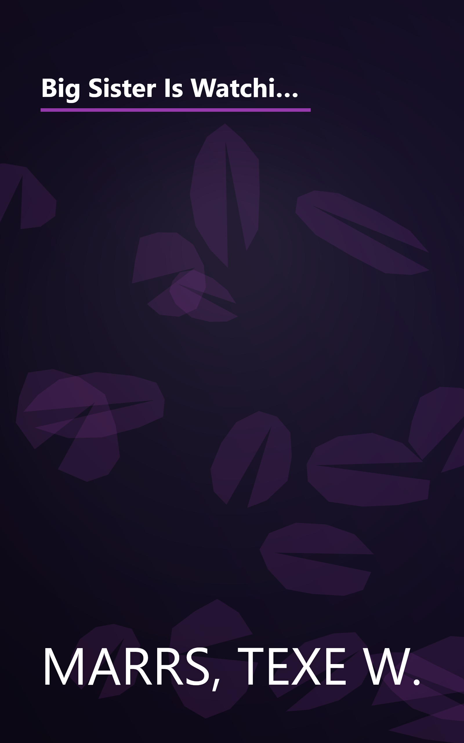 Big Sister Is Watching You: Hillary Clinton and the White House Feminists Who Now Control America--And Tell the President What to Do book cover