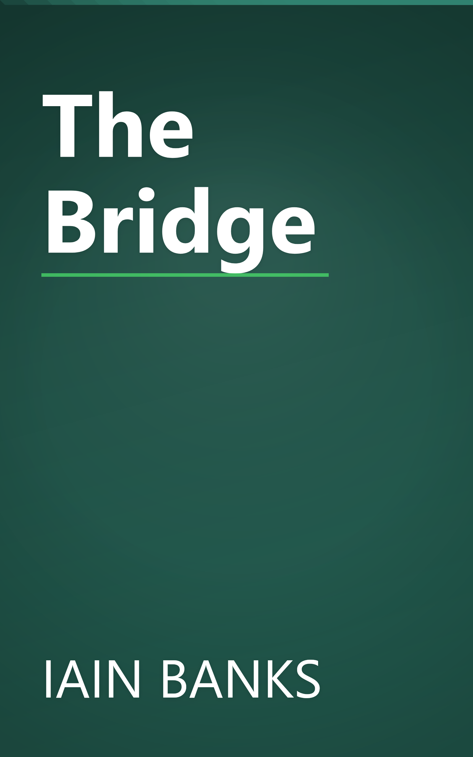 The Bridge book cover