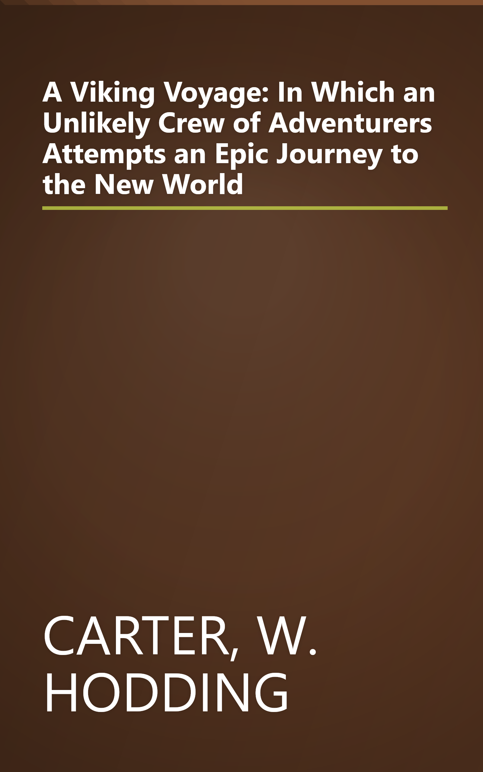 A Viking Voyage: In Which an Unlikely Crew of Adventurers Attempts an Epic Journey to the New World book cover