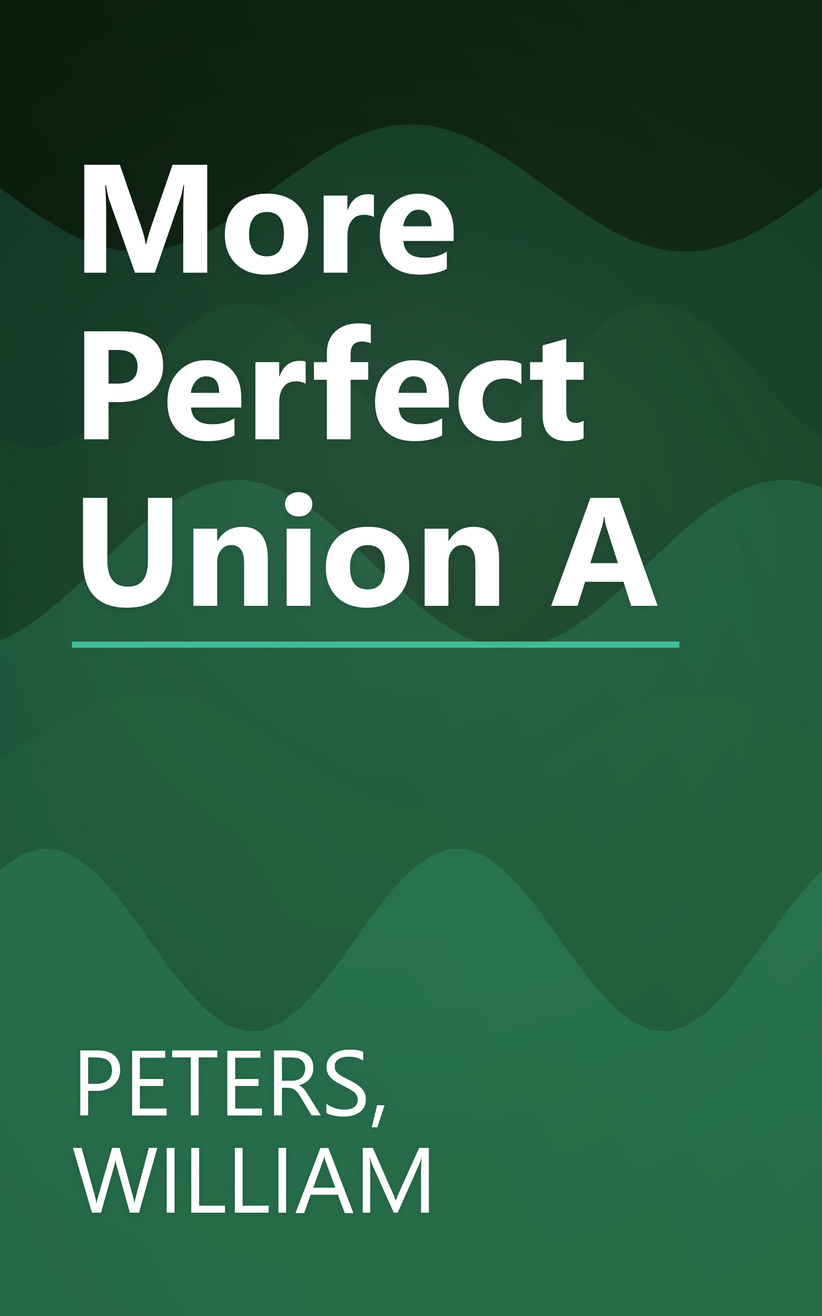 More Perfect Union A book cover