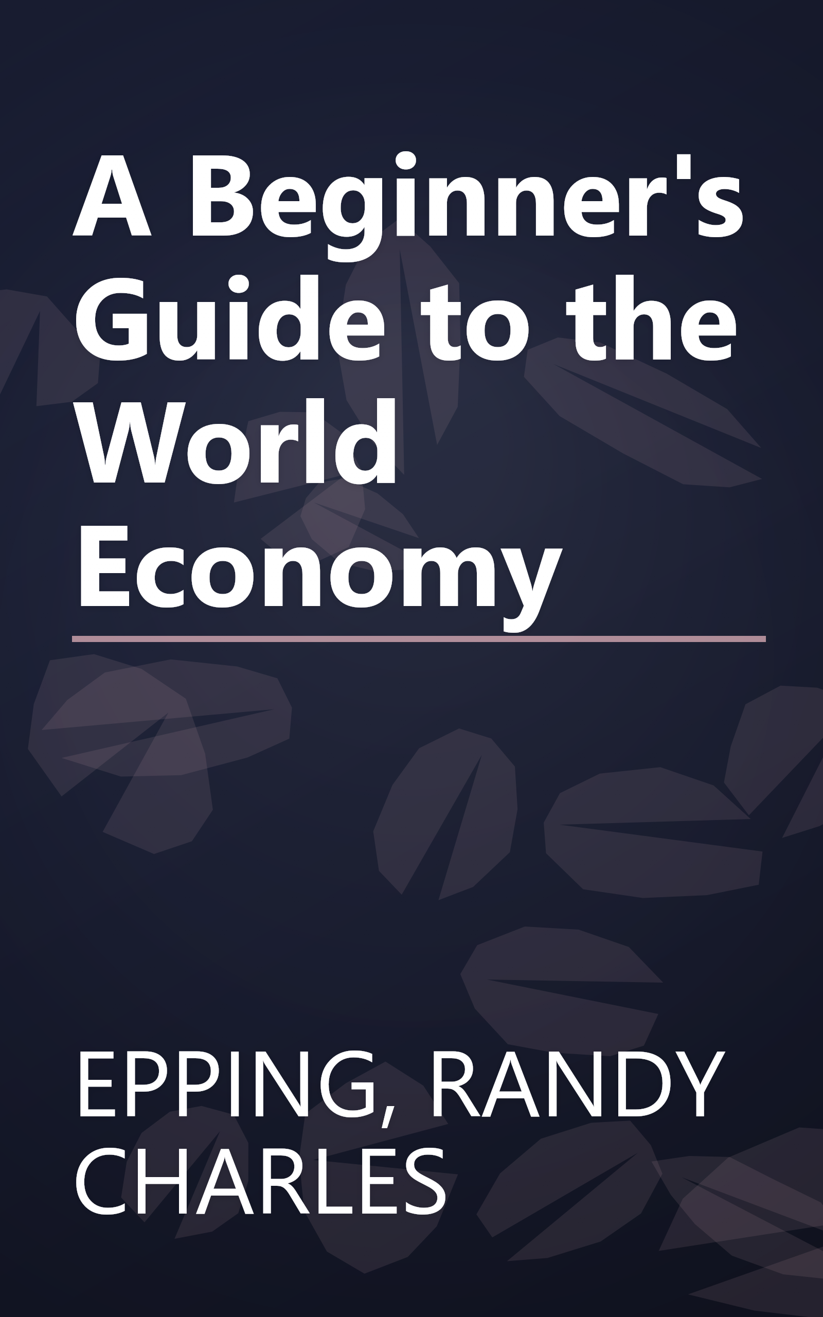 A Beginner's Guide to the World Economy book cover
