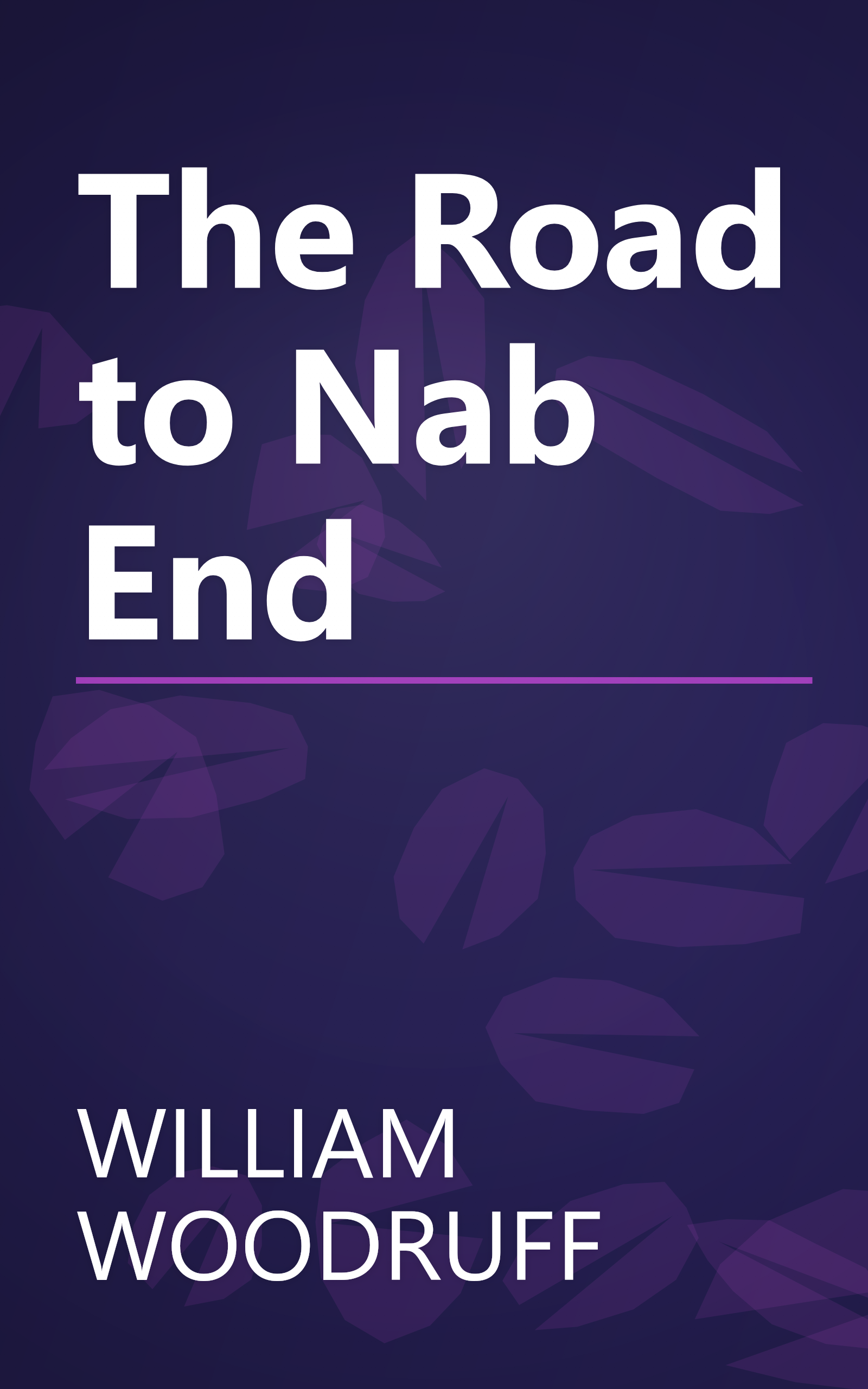 The Road to Nab End book cover