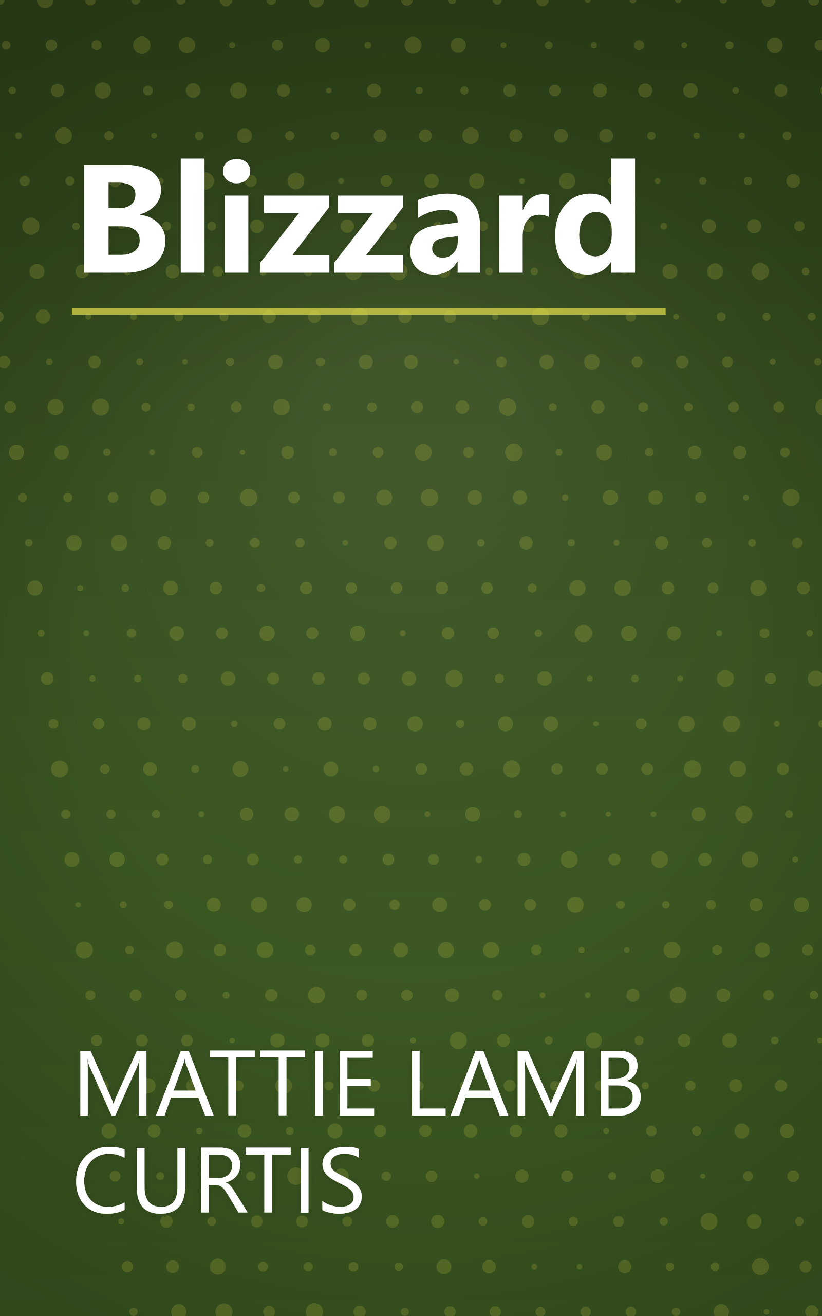 Blizzard book cover