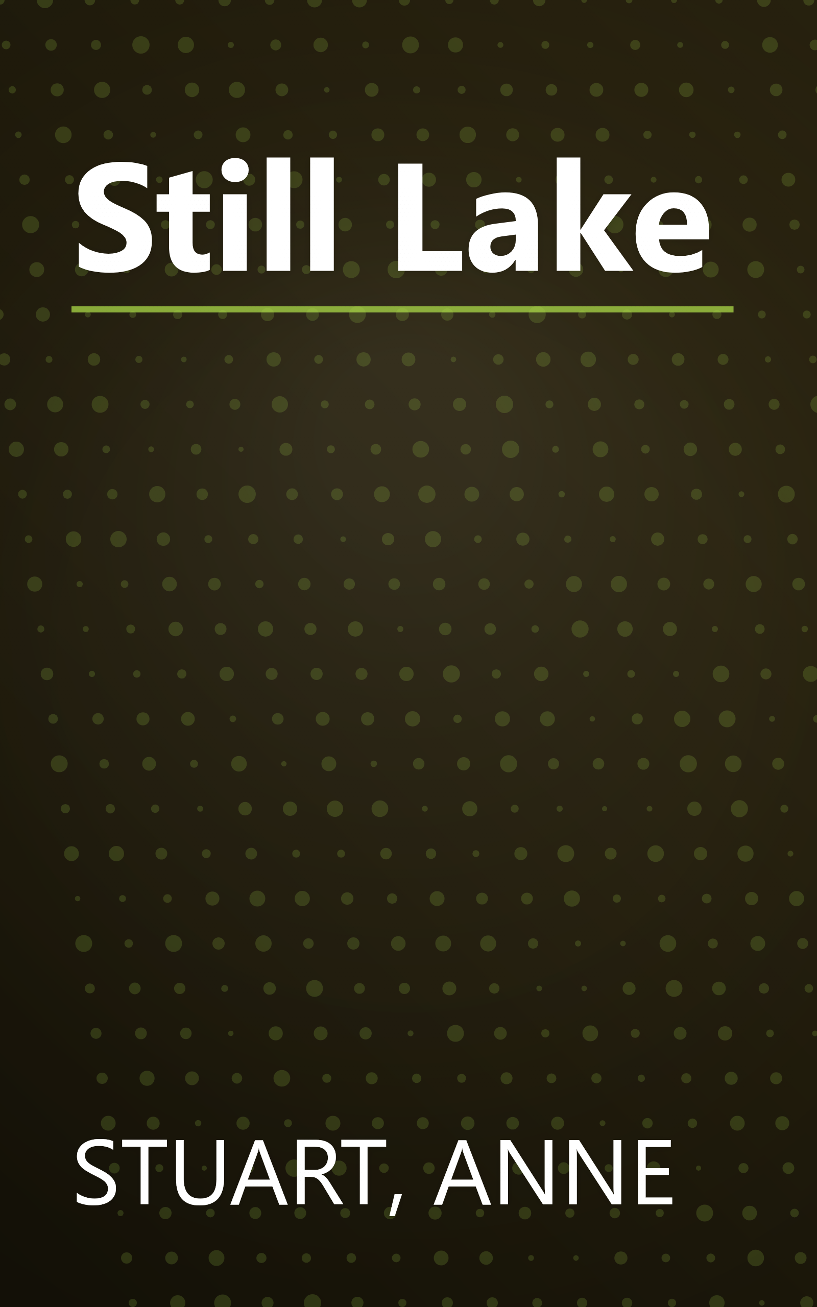 Still Lake book cover