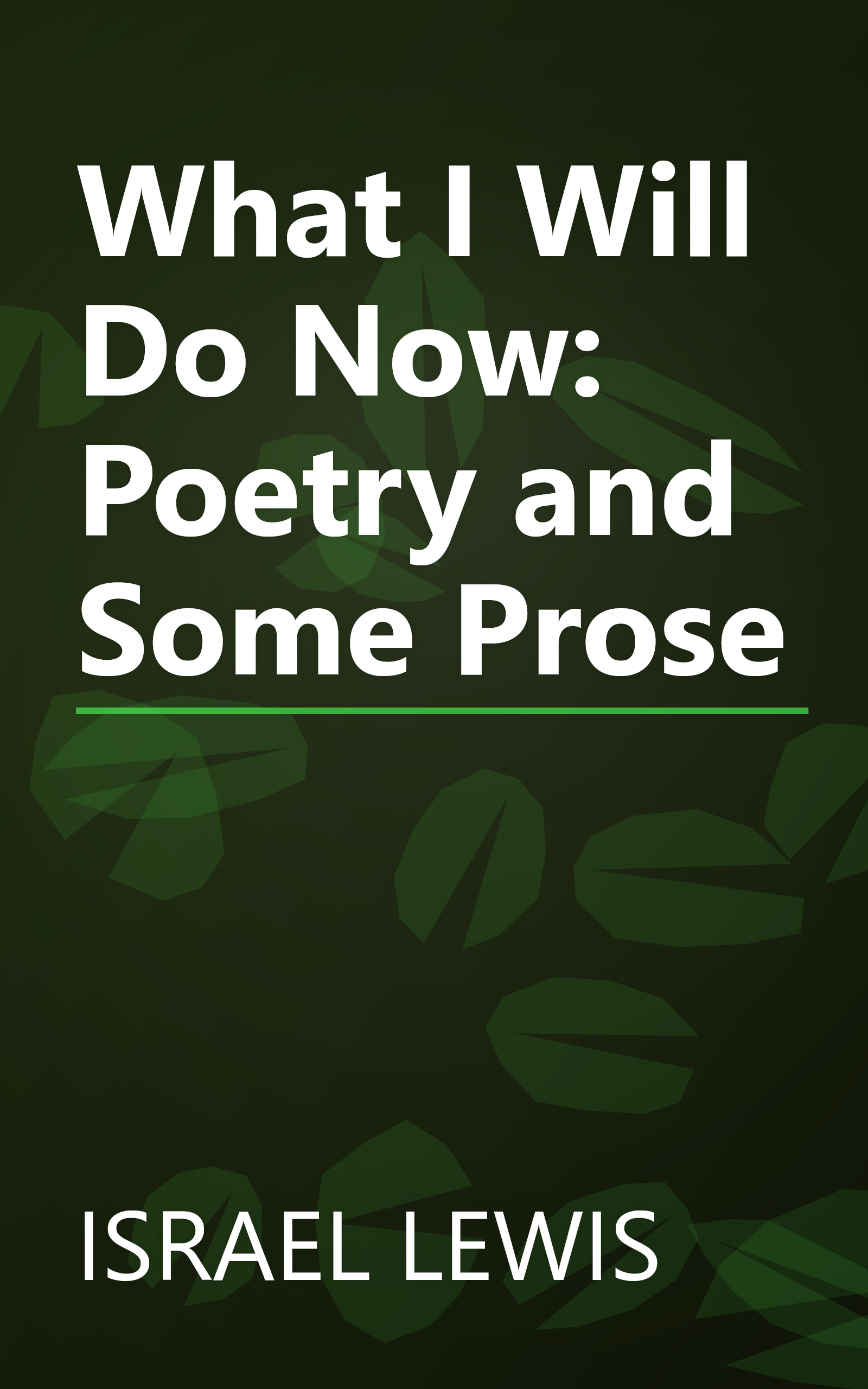 What I Will Do Now: Poetry and Some Prose book cover