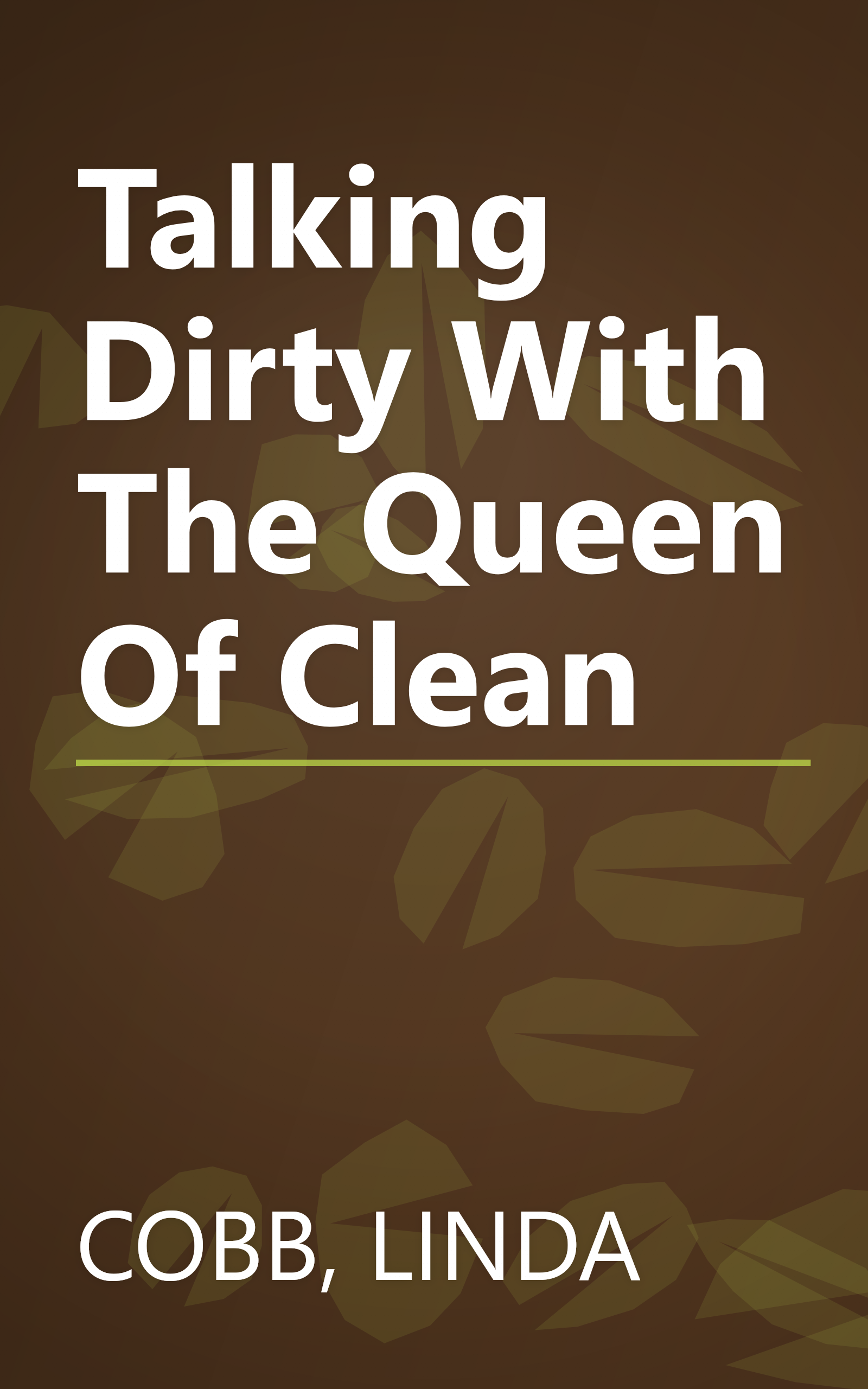 Talking Dirty With The Queen Of Clean book cover