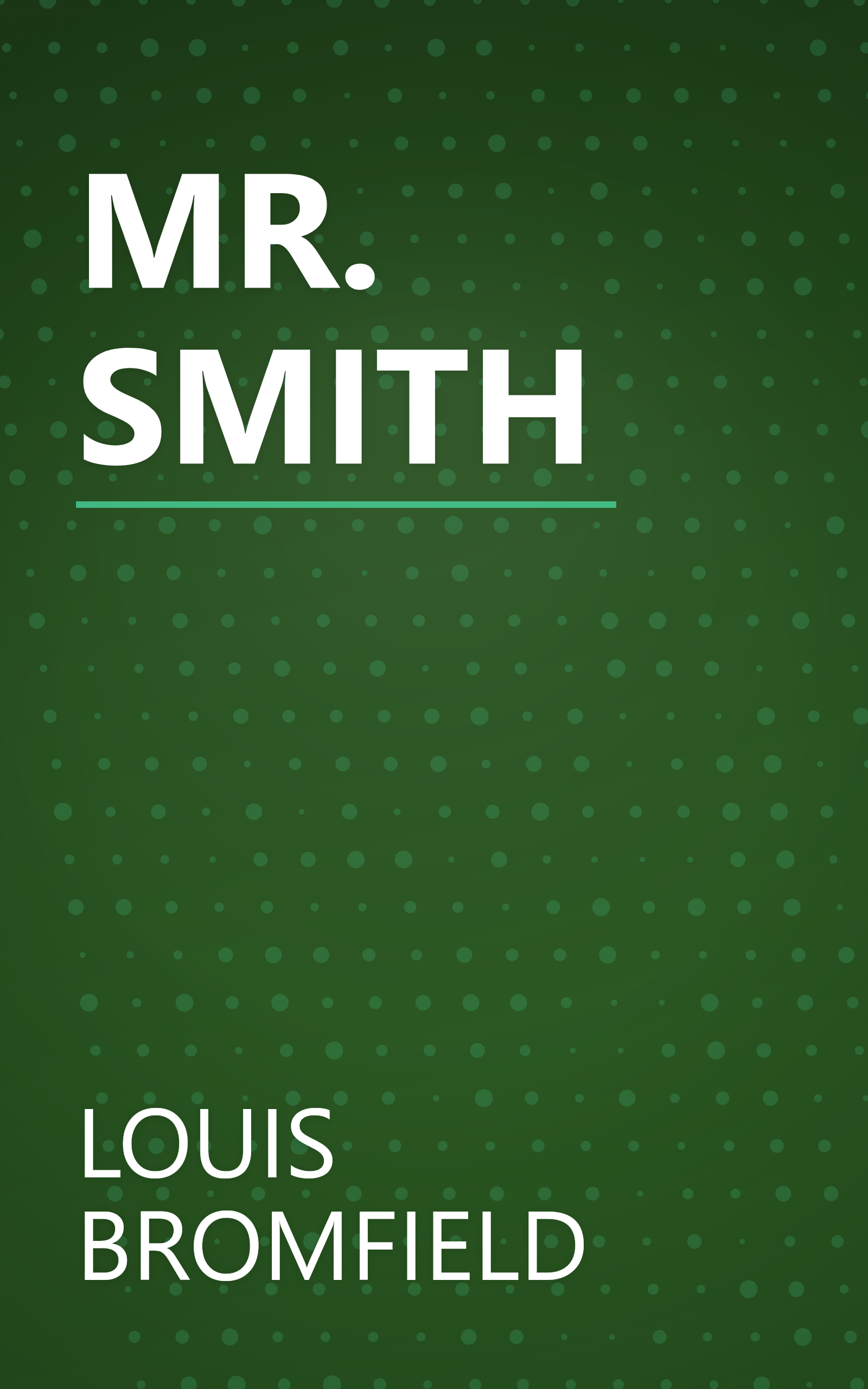 MR. SMITH book cover