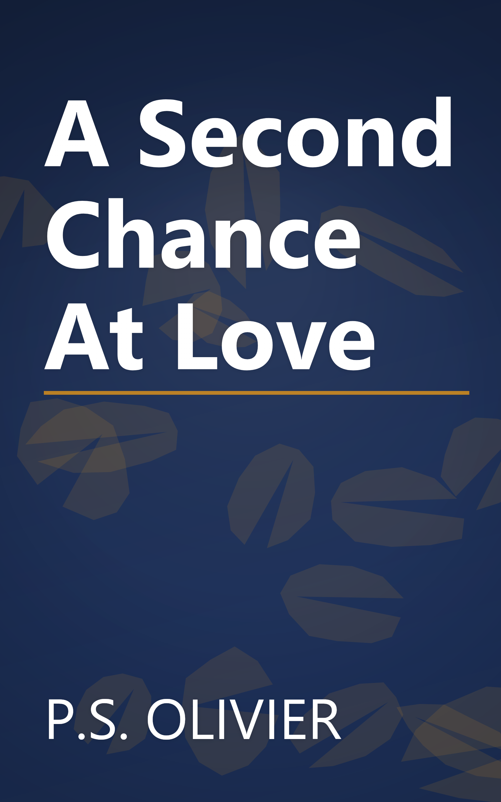 A Second Chance At Love book cover