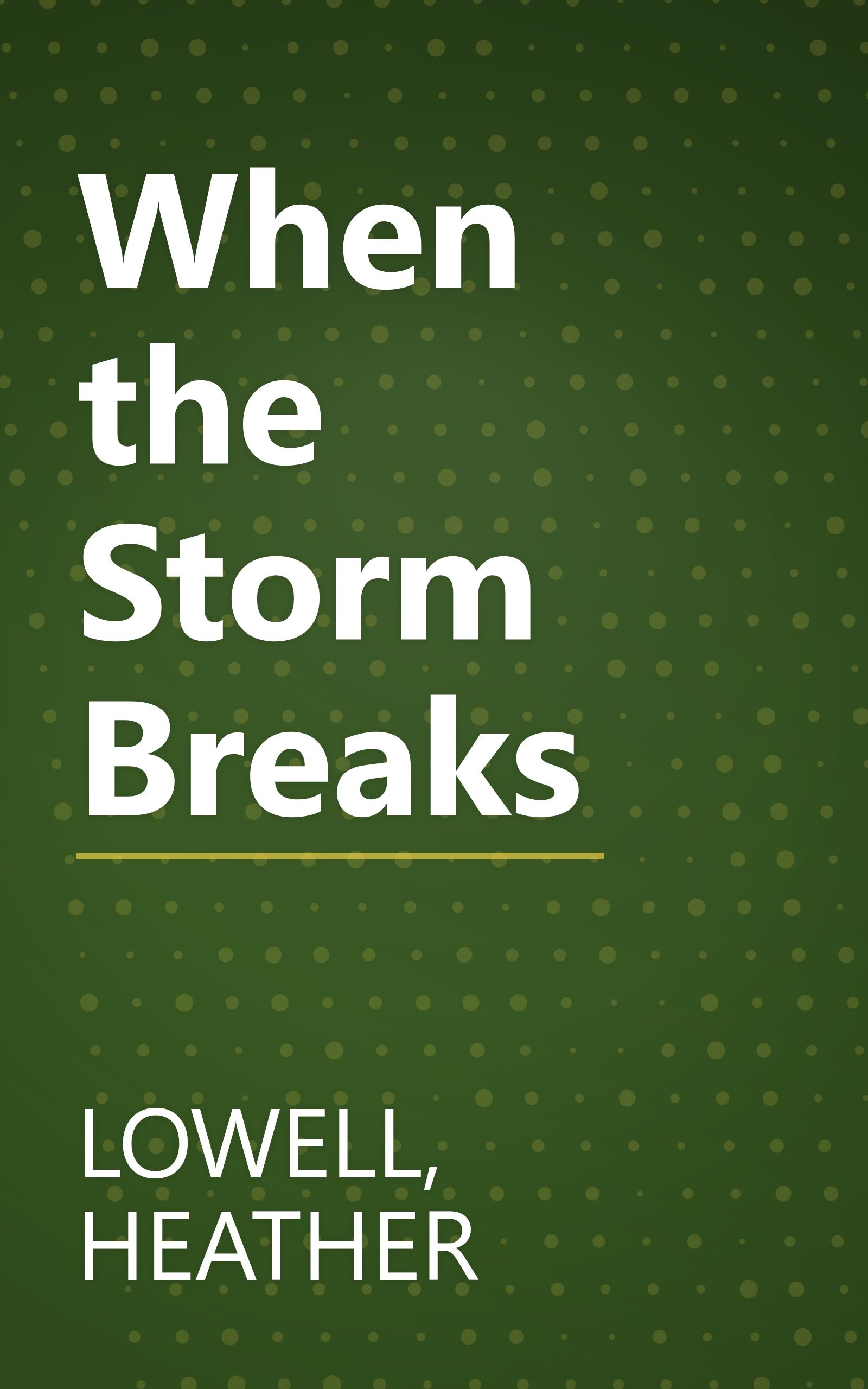 When the Storm Breaks book cover
