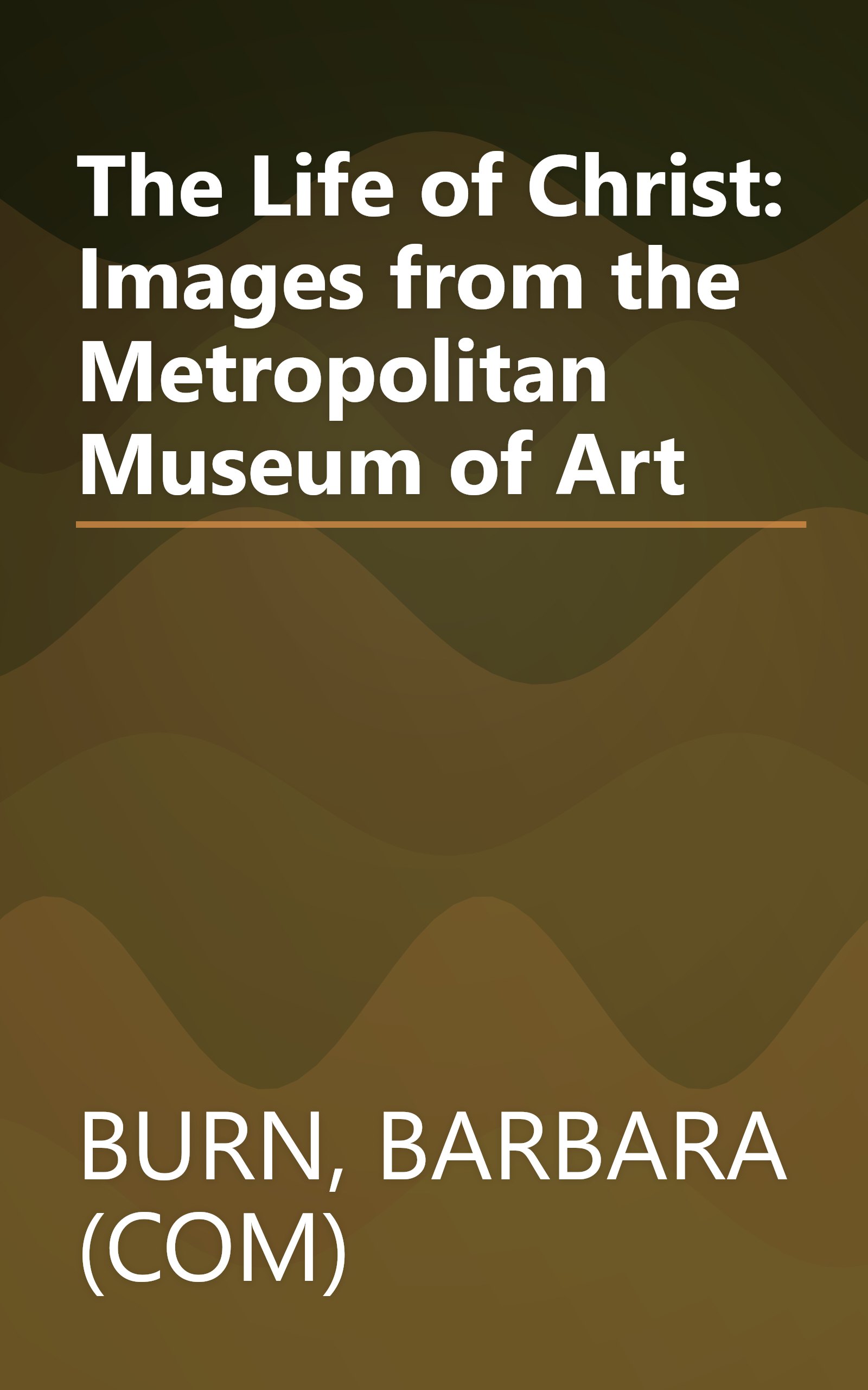 The Life of Christ: Images from the Metropolitan Museum of Art book cover