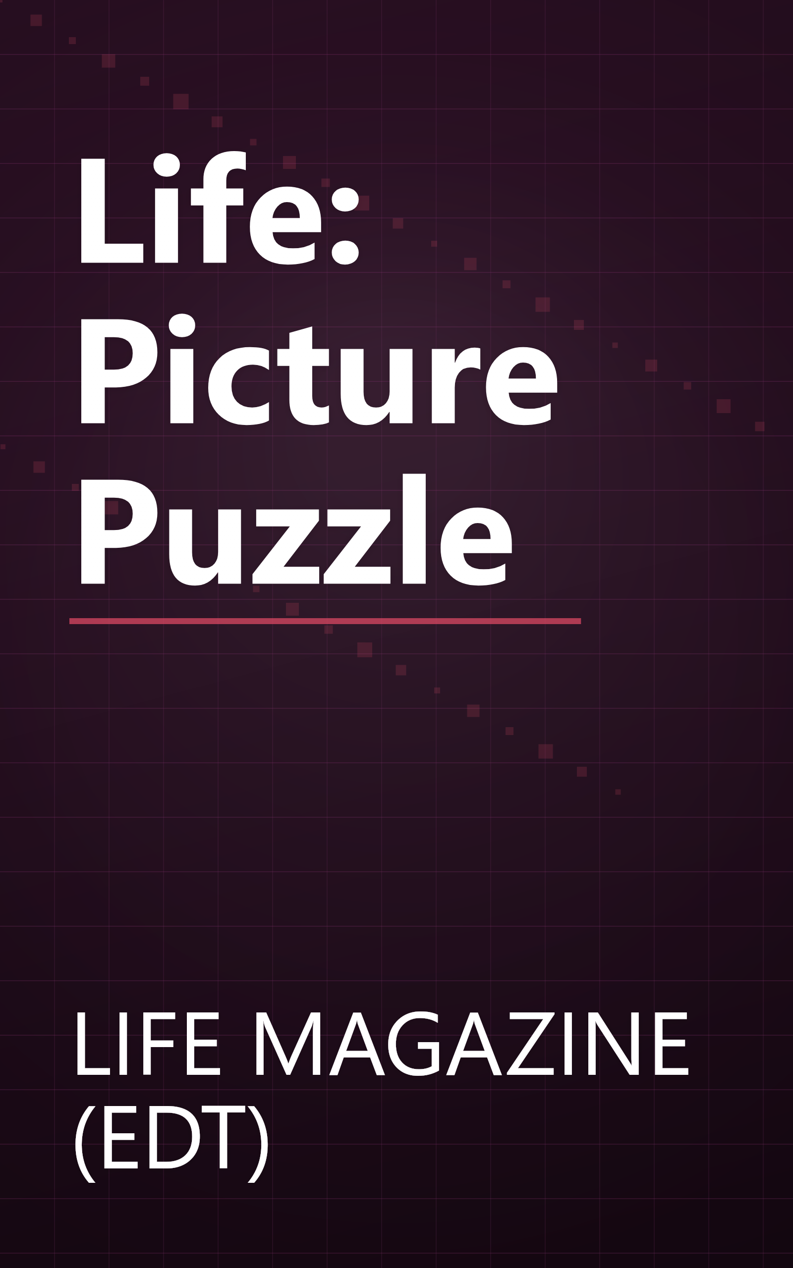 Life: Picture Puzzle book cover