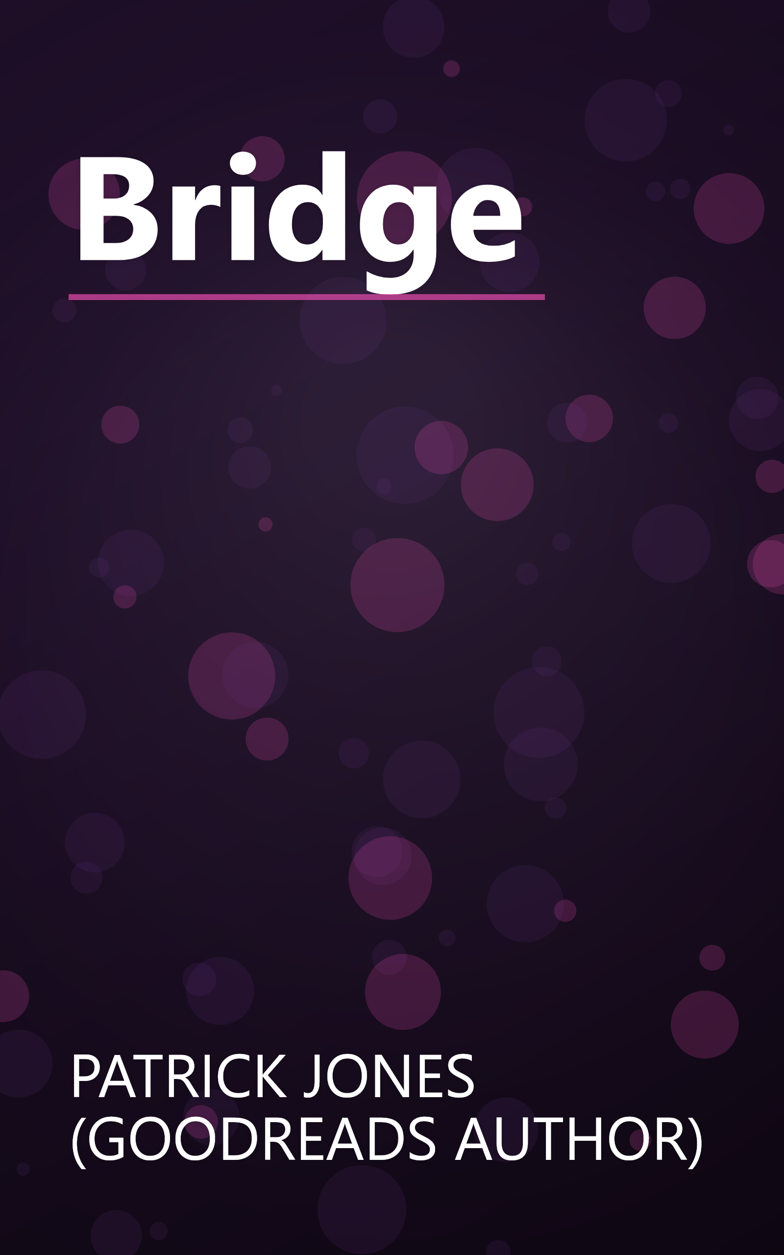 Bridge book cover