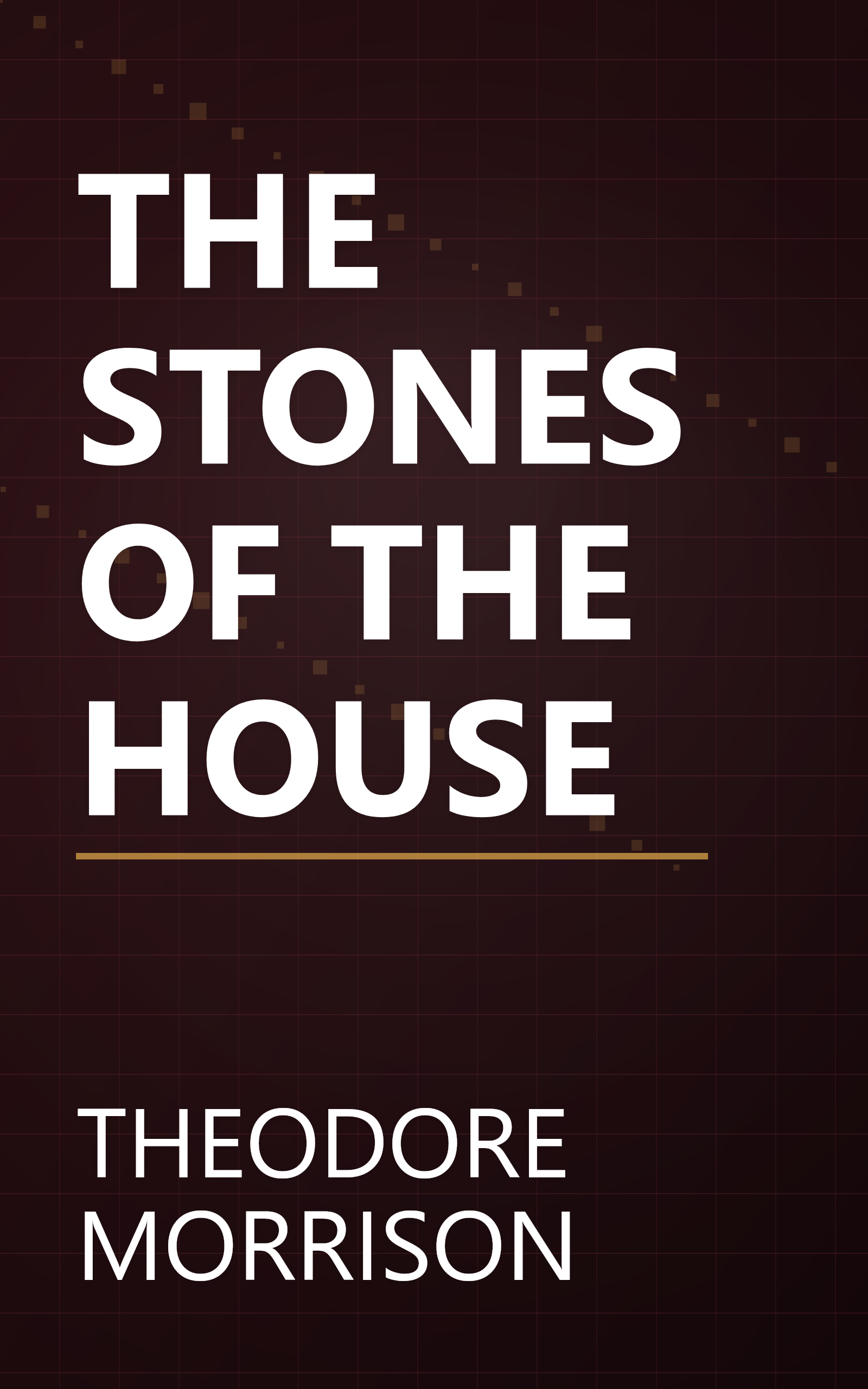 THE STONES OF THE HOUSE book cover