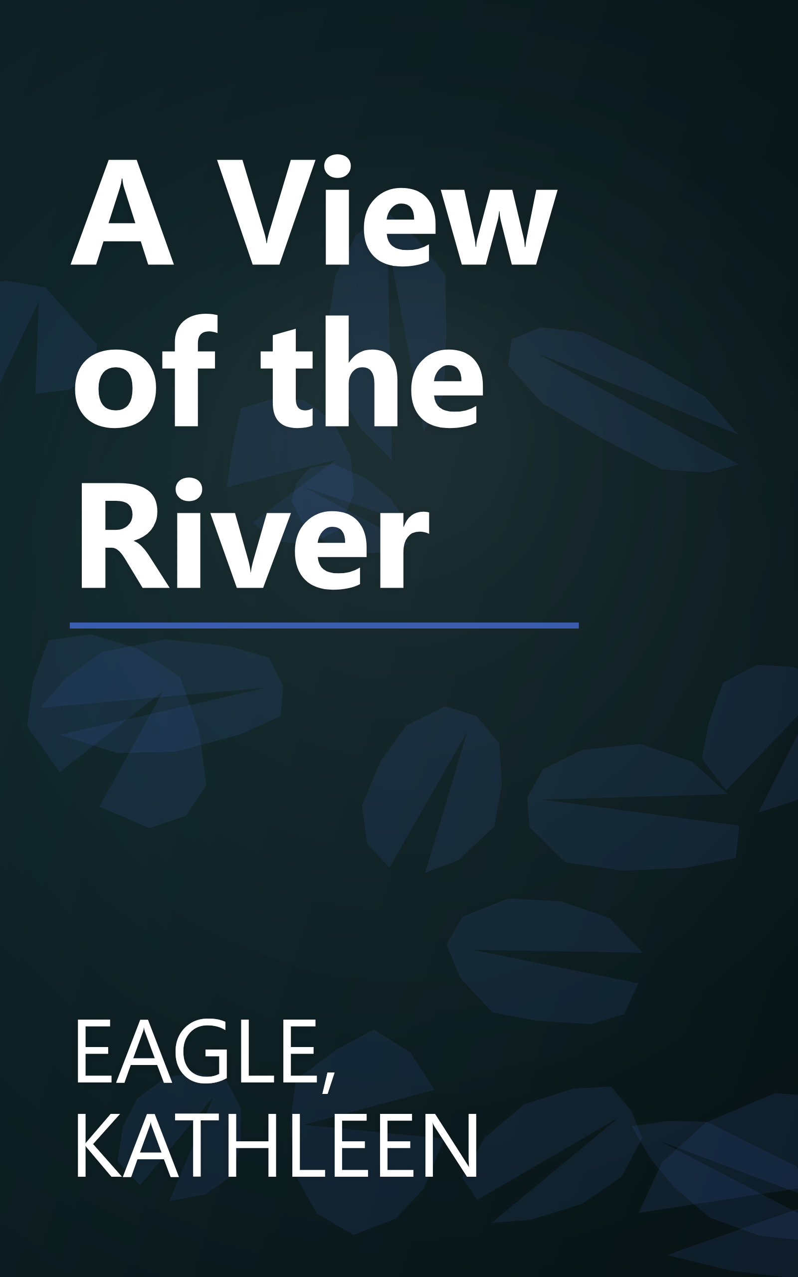A View of the River book cover