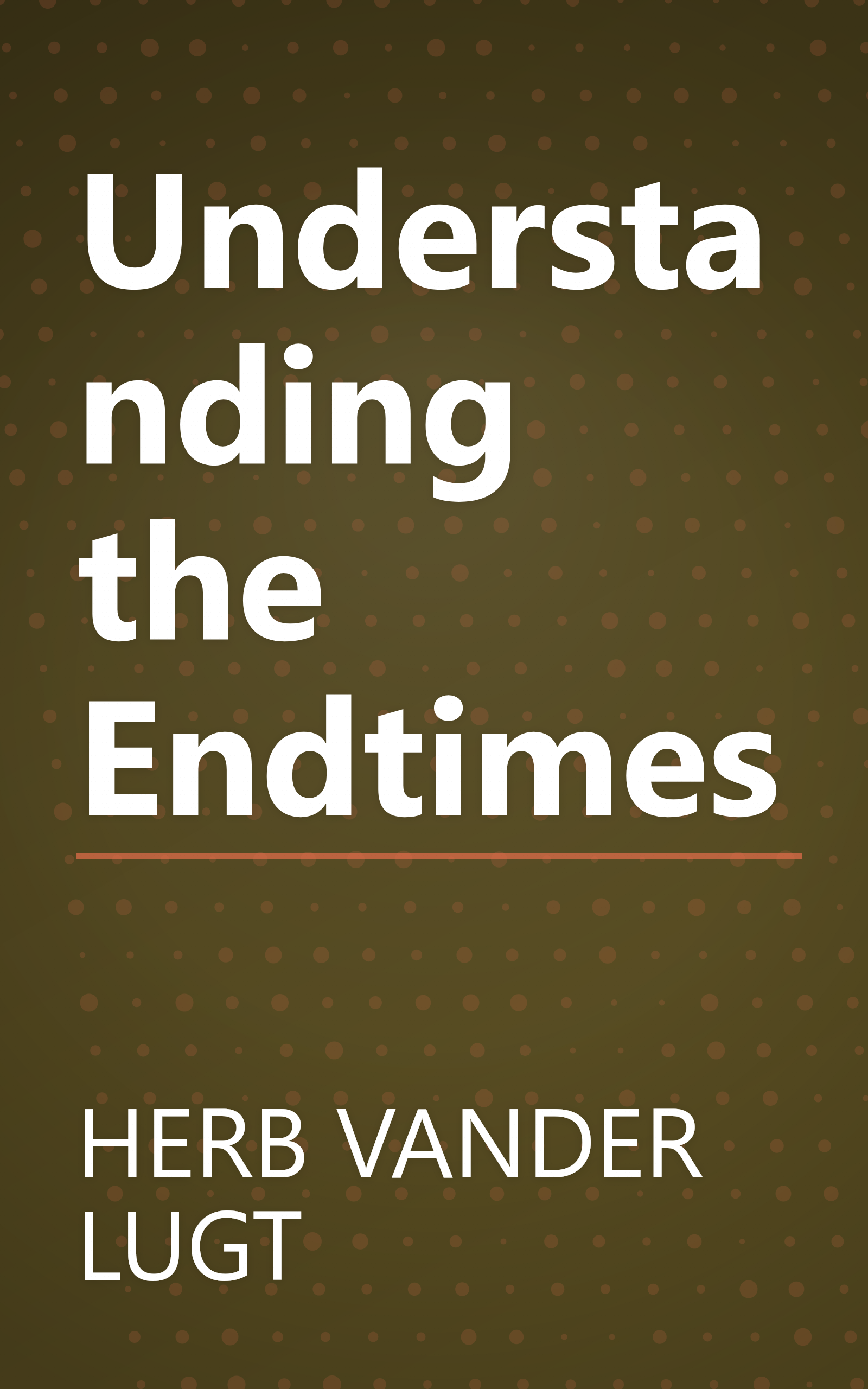 Understanding the Endtimes book cover