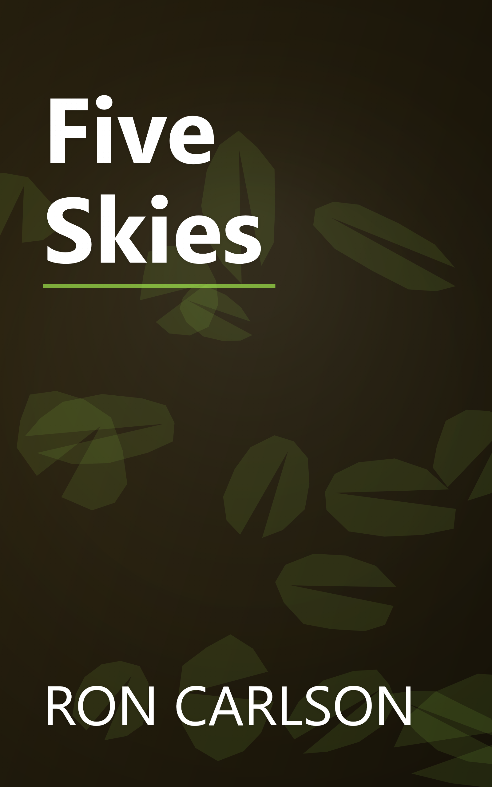 Five Skies book cover