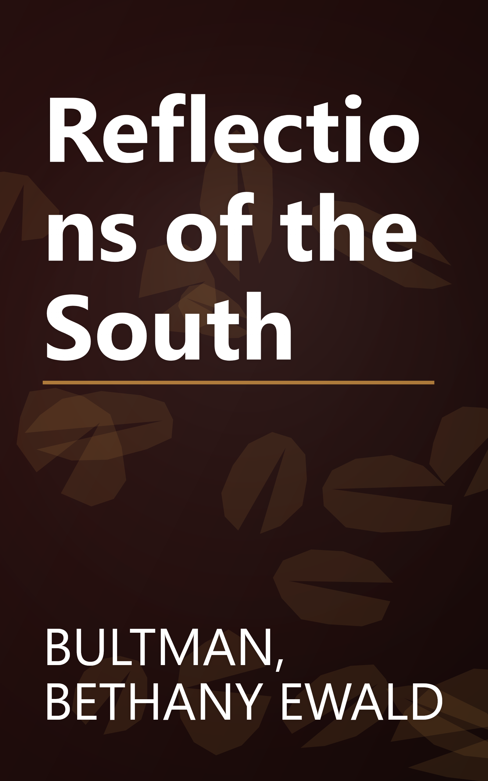 Reflections of the South book cover