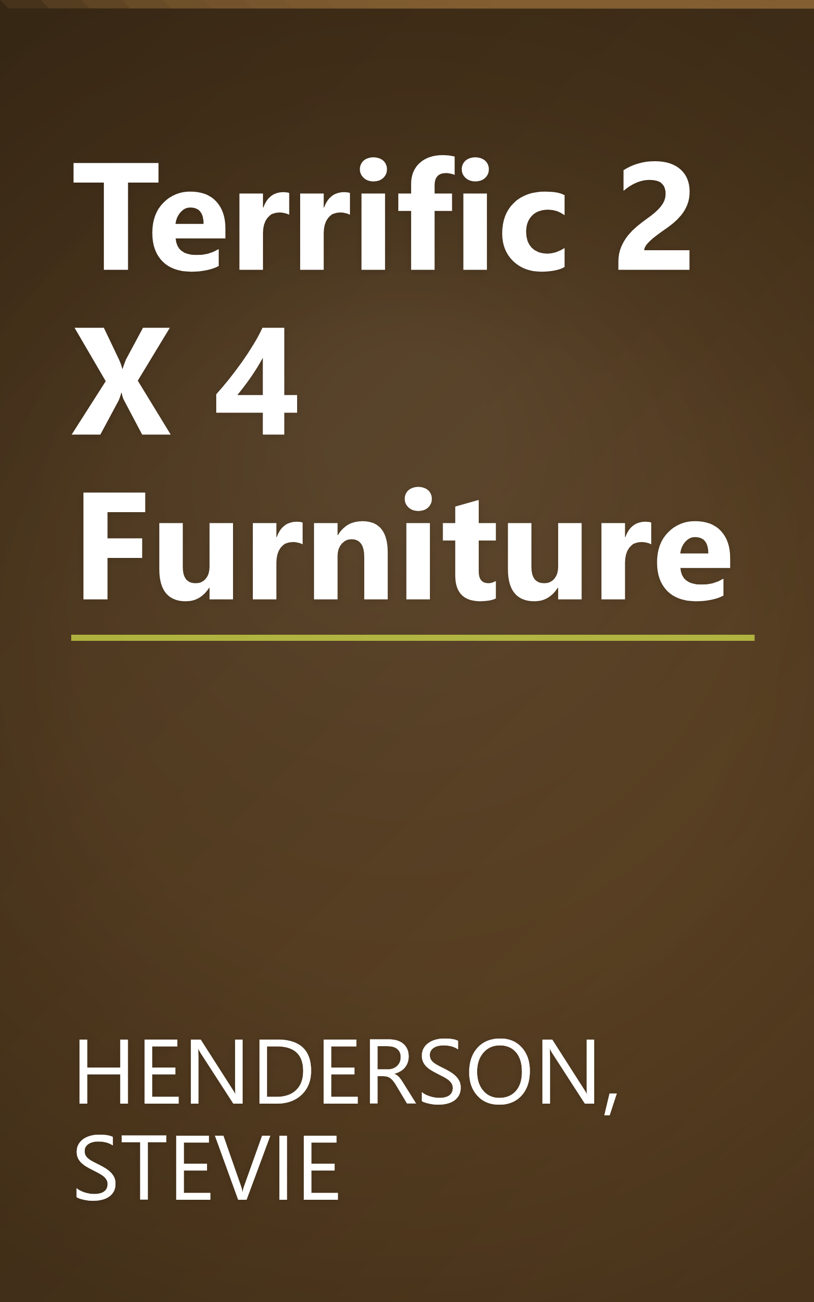Terrific 2 X 4 Furniture book cover