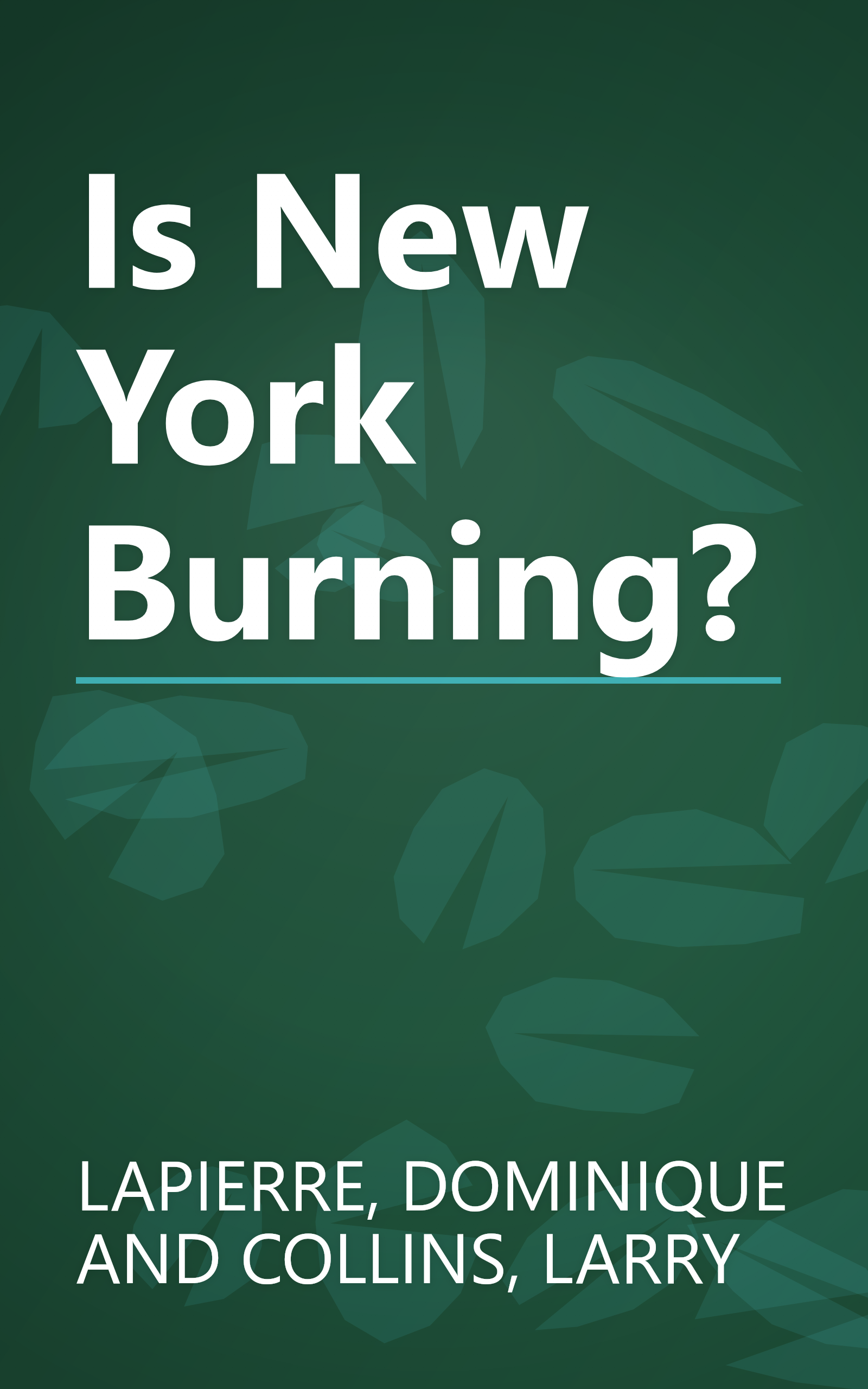Is New York Burning? book cover
