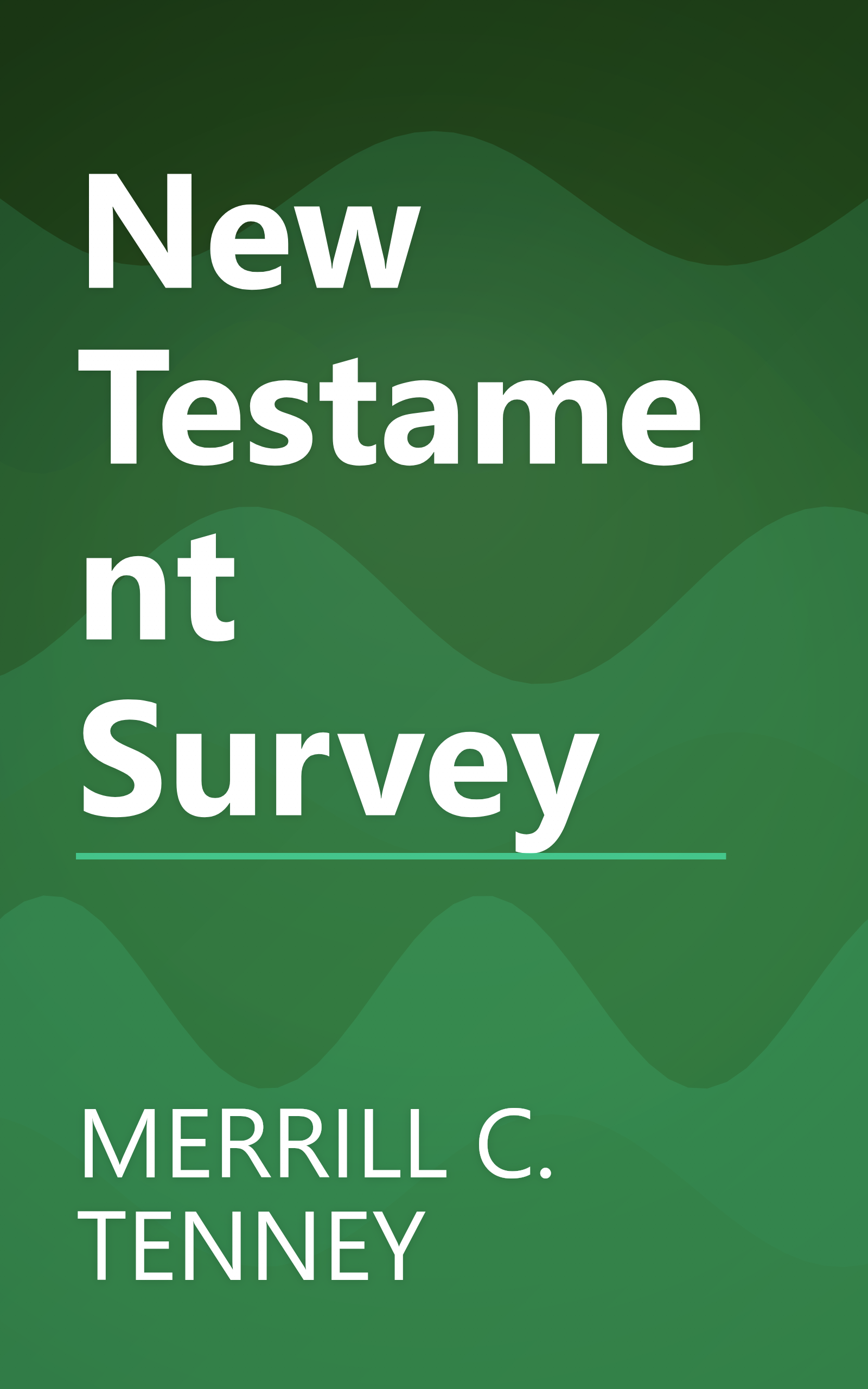 New Testament Survey book cover