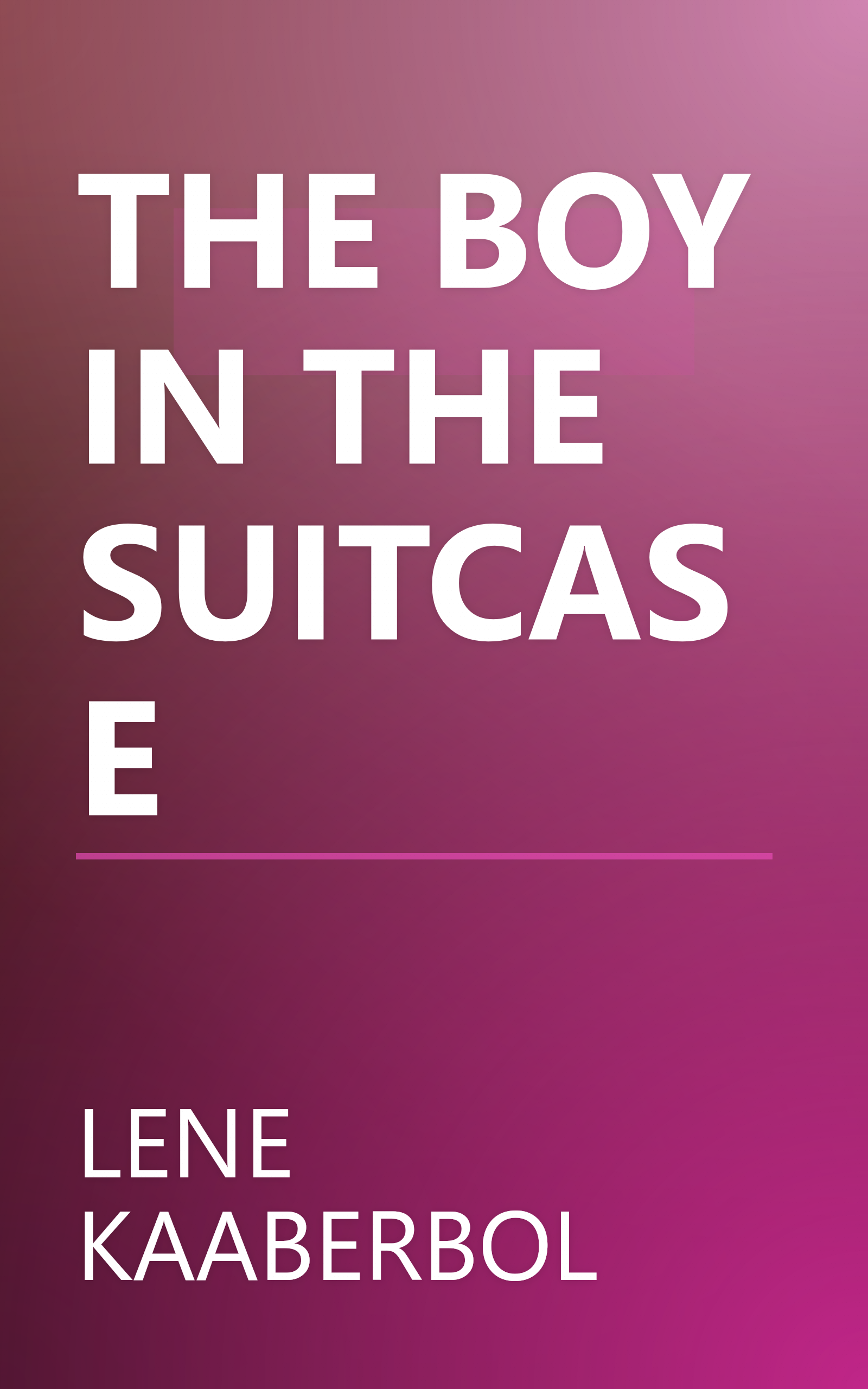 THE BOY IN THE SUITCASE book cover