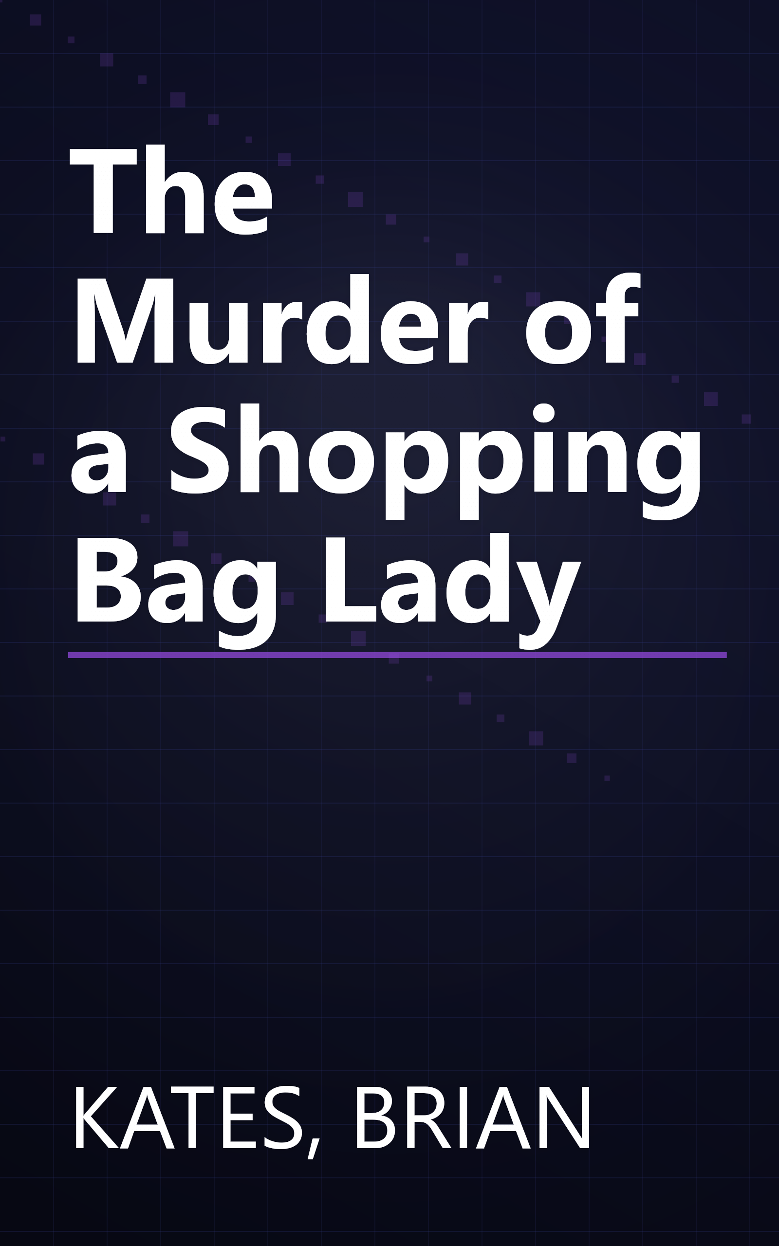 The Murder of a Shopping Bag Lady book cover