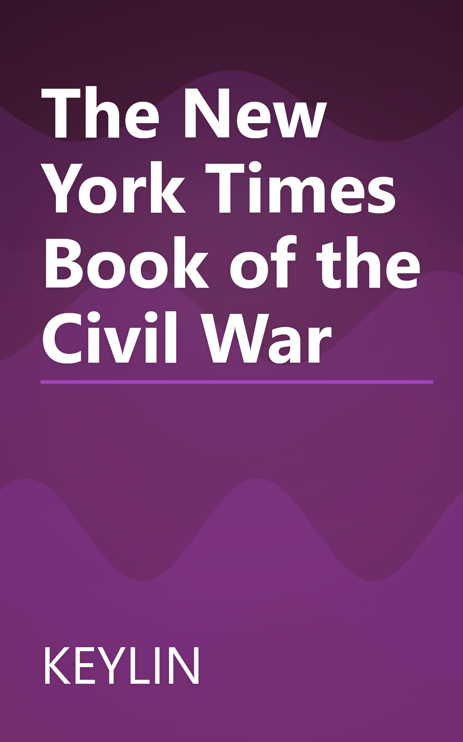 The New York Times Book of the Civil War book cover