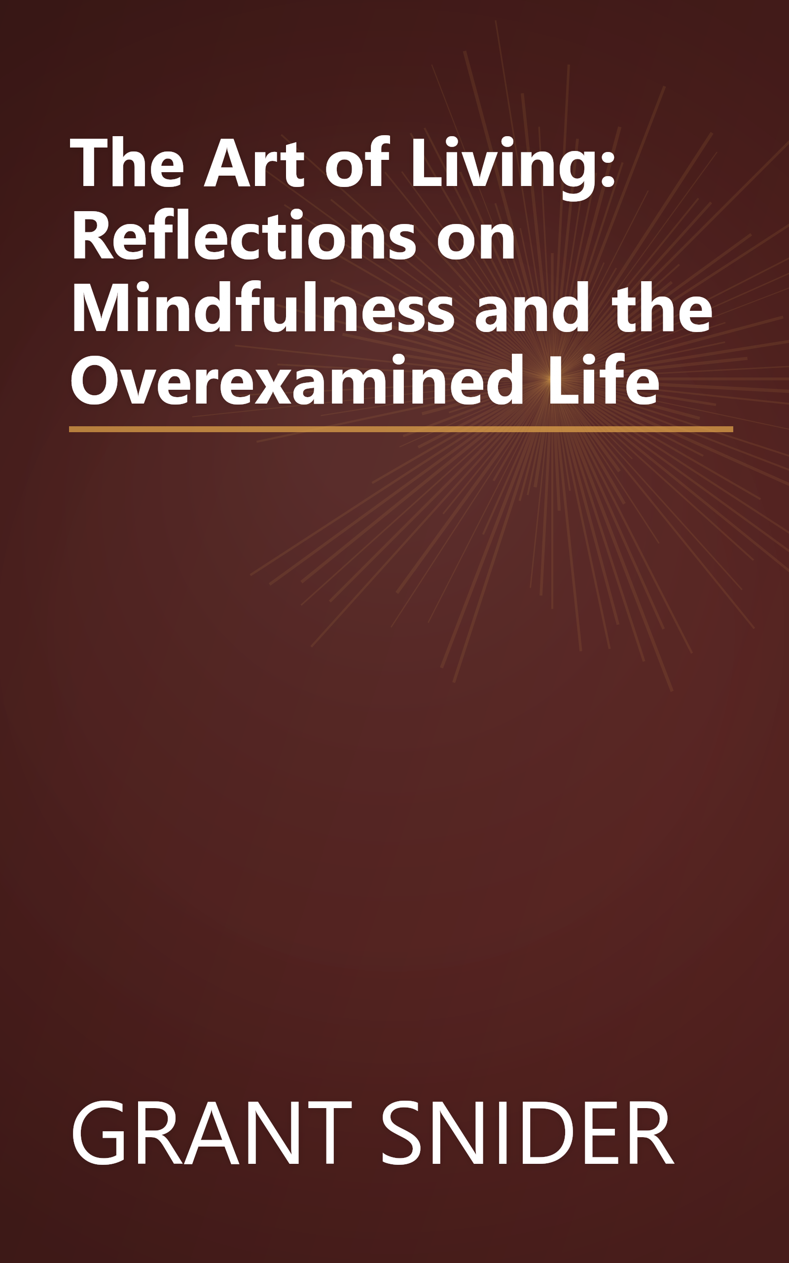 The Art of Living: Reflections on Mindfulness and the Overexamined Life book cover