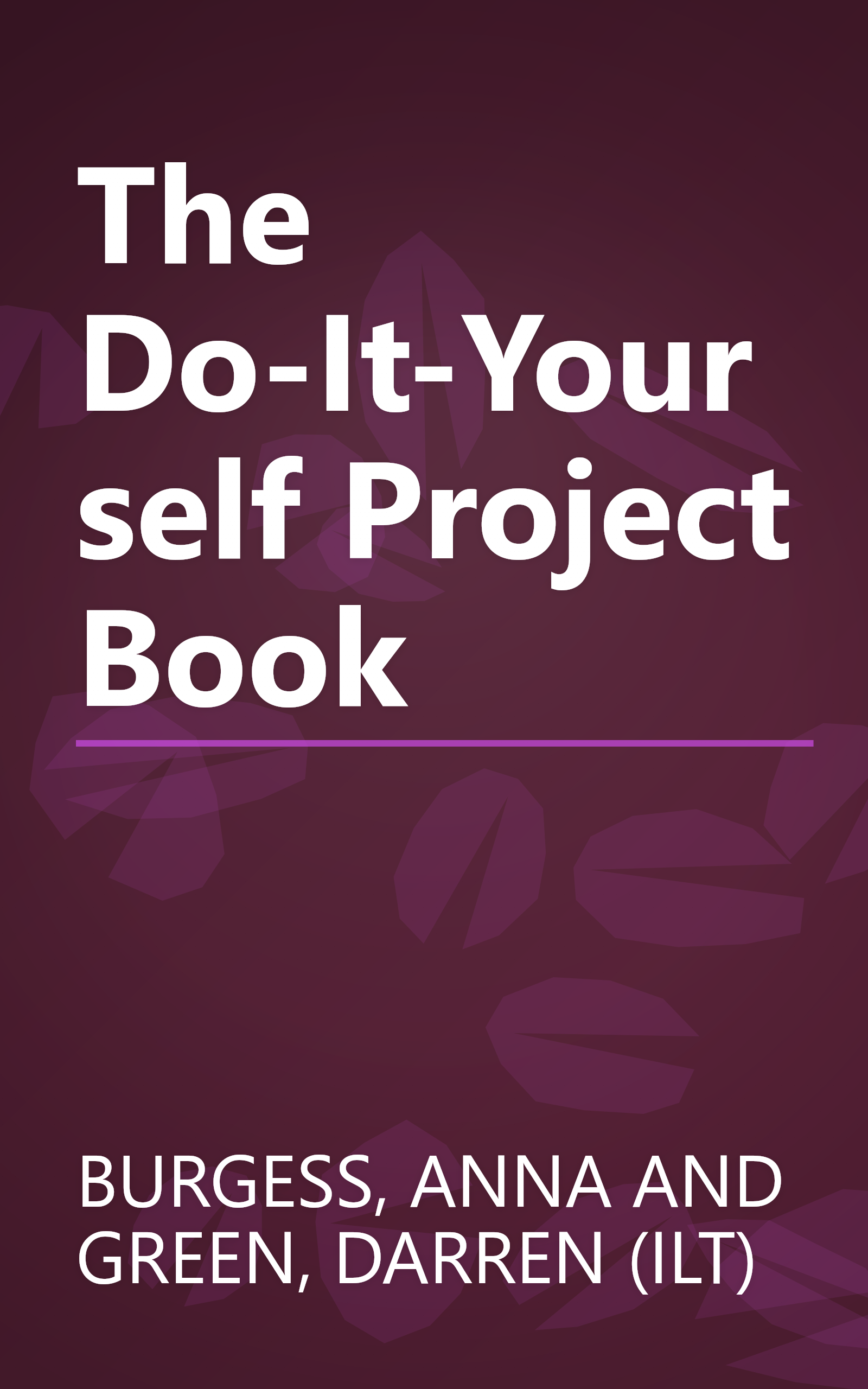 The Do-It-Yourself Project Book book cover