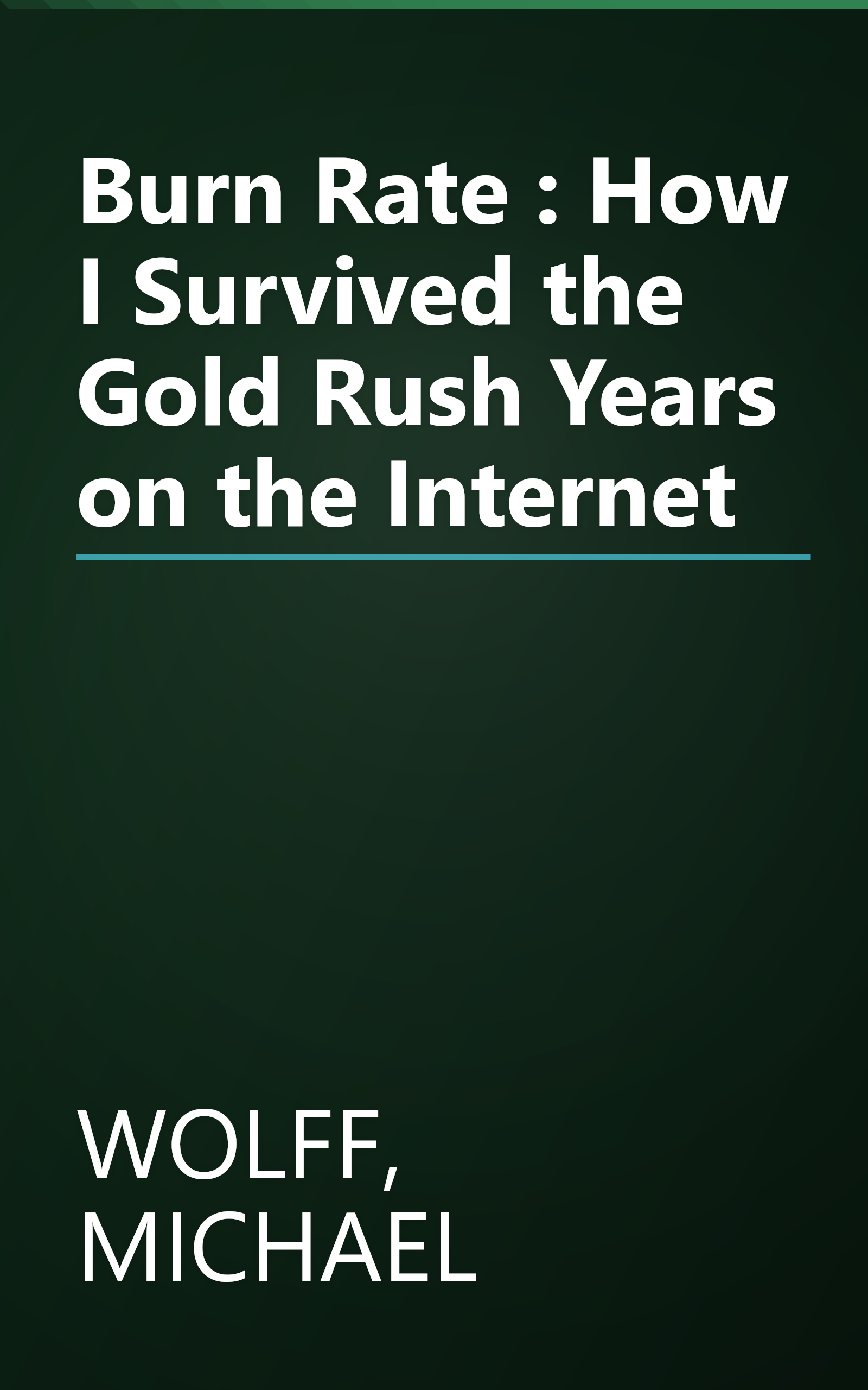 Burn Rate : How I Survived the Gold Rush Years on the Internet book cover