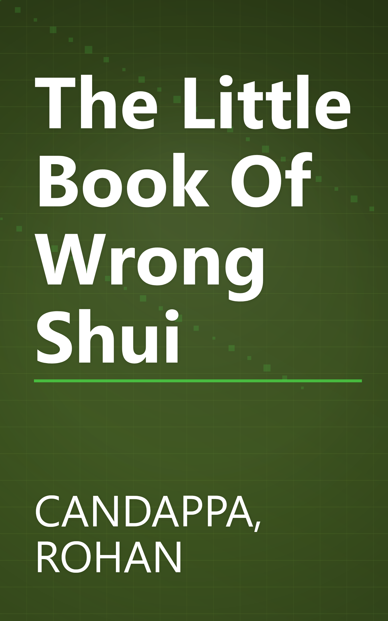 The Little Book Of Wrong Shui book cover