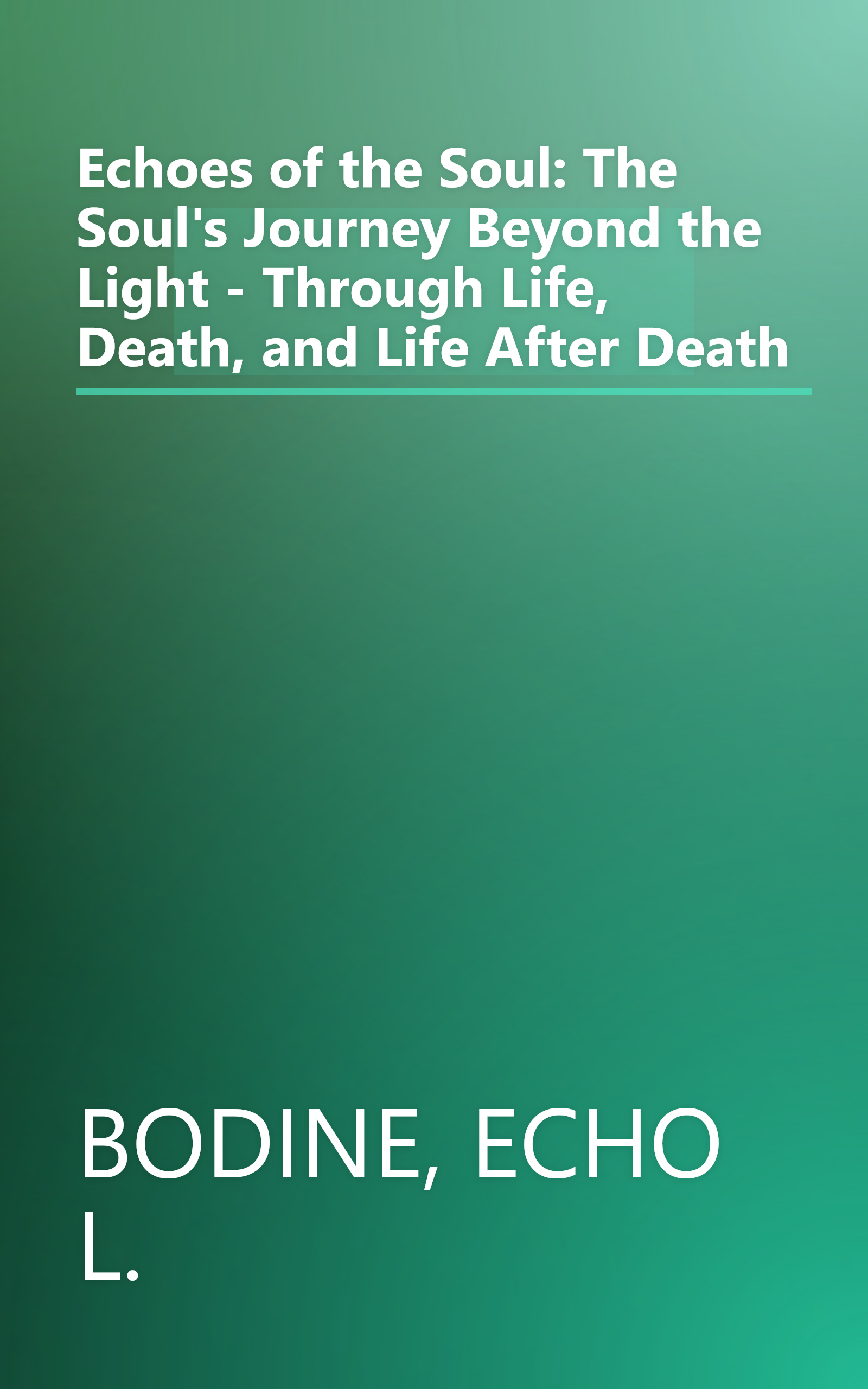 Echoes of the Soul: The Soul's Journey Beyond the Light - Through Life, Death, and Life After Death book cover