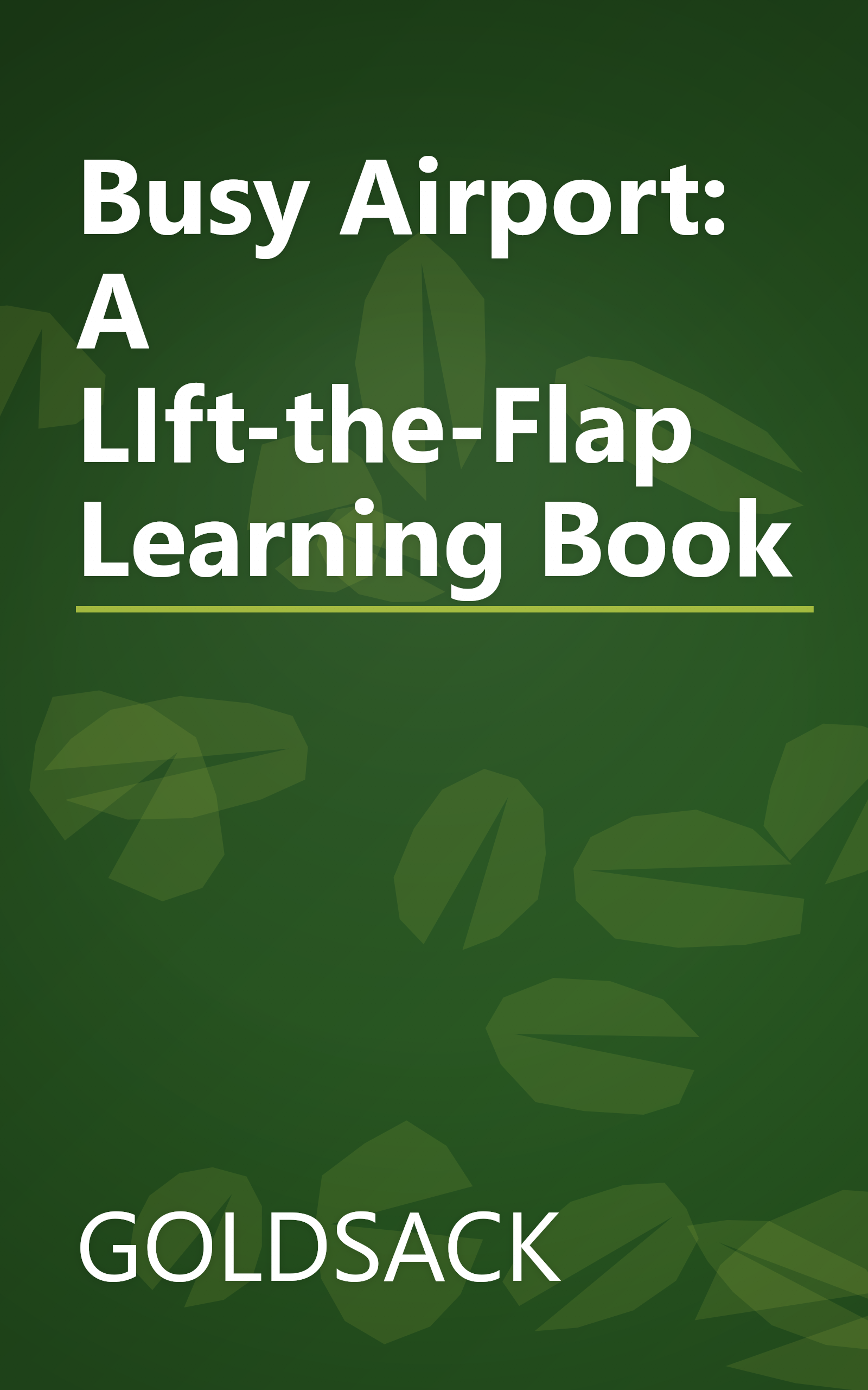 Busy Airport: A LIft-the-Flap Learning Book book cover