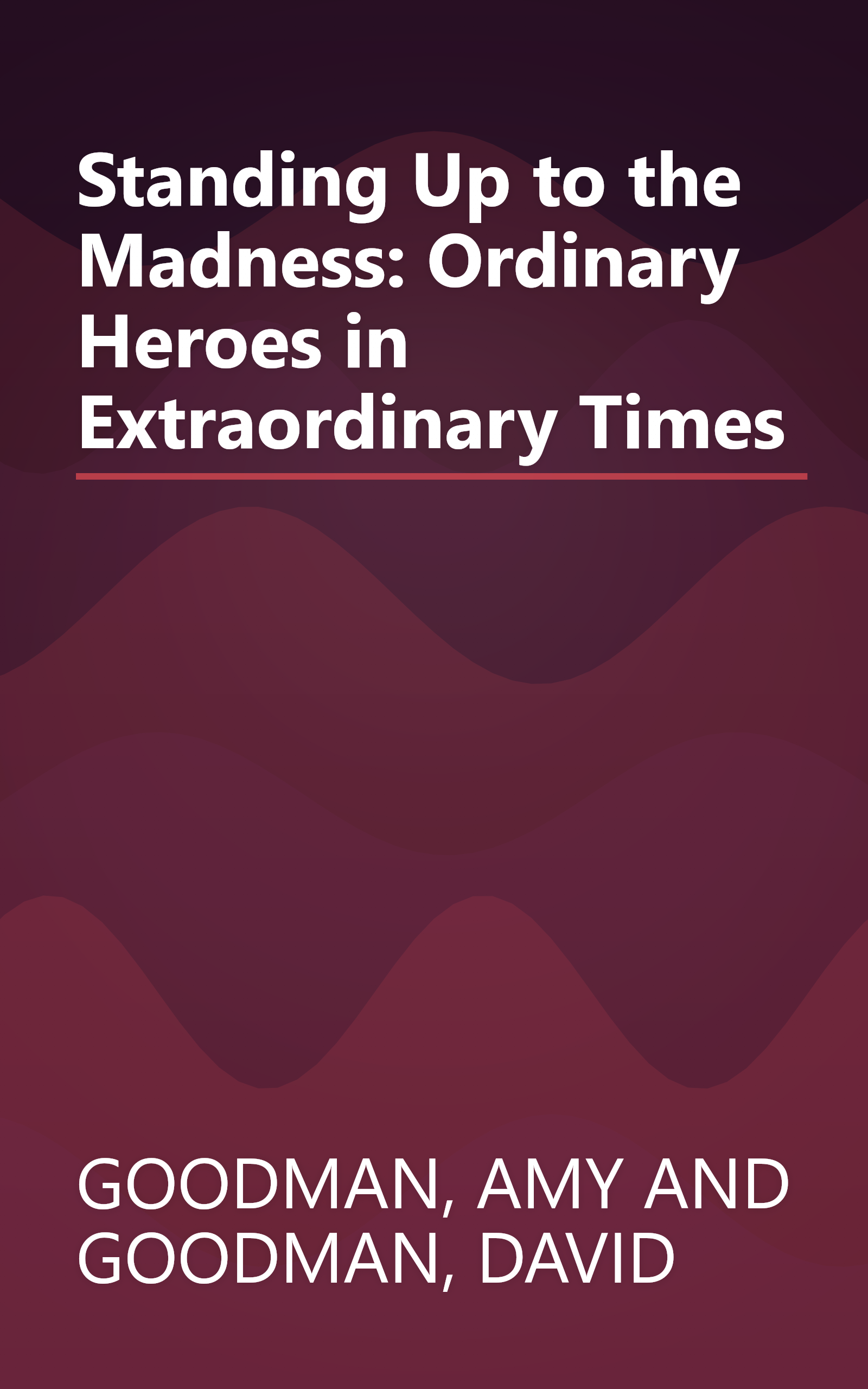 Standing Up to the Madness: Ordinary Heroes in Extraordinary Times book cover