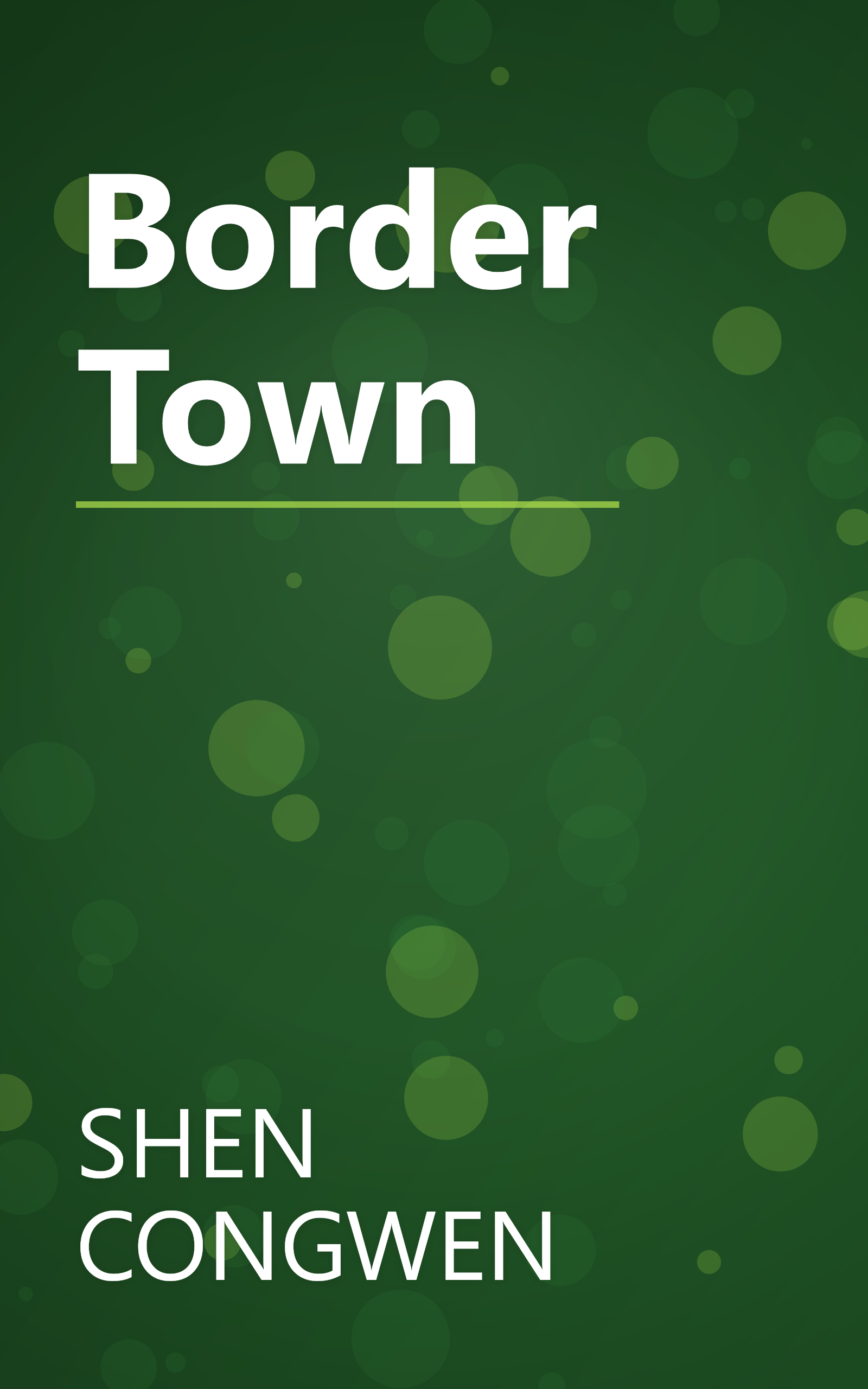 Border Town book cover