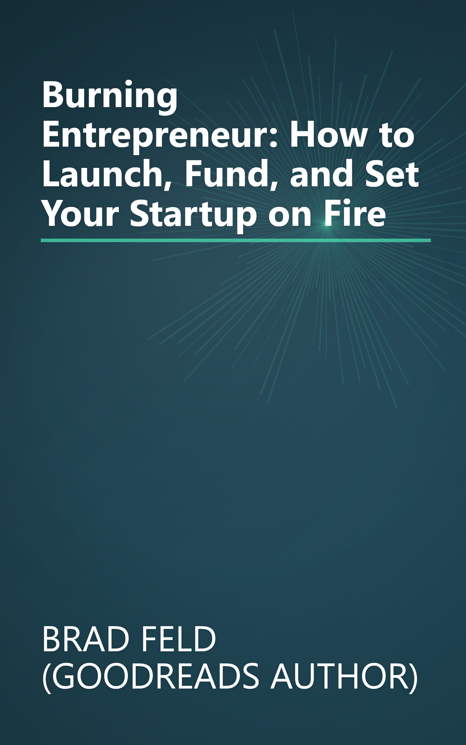 Burning Entrepreneur: How to Launch, Fund, and Set Your Startup on Fire book cover