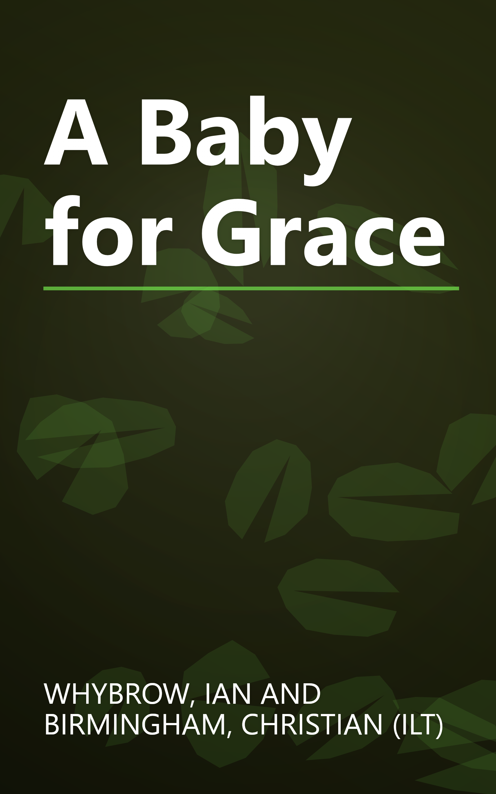 A Baby for Grace book cover